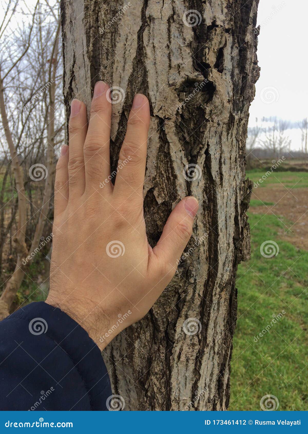 Hand Touching Tree Trunk. Keeping Touch Nature Stock Photo - Image of ...