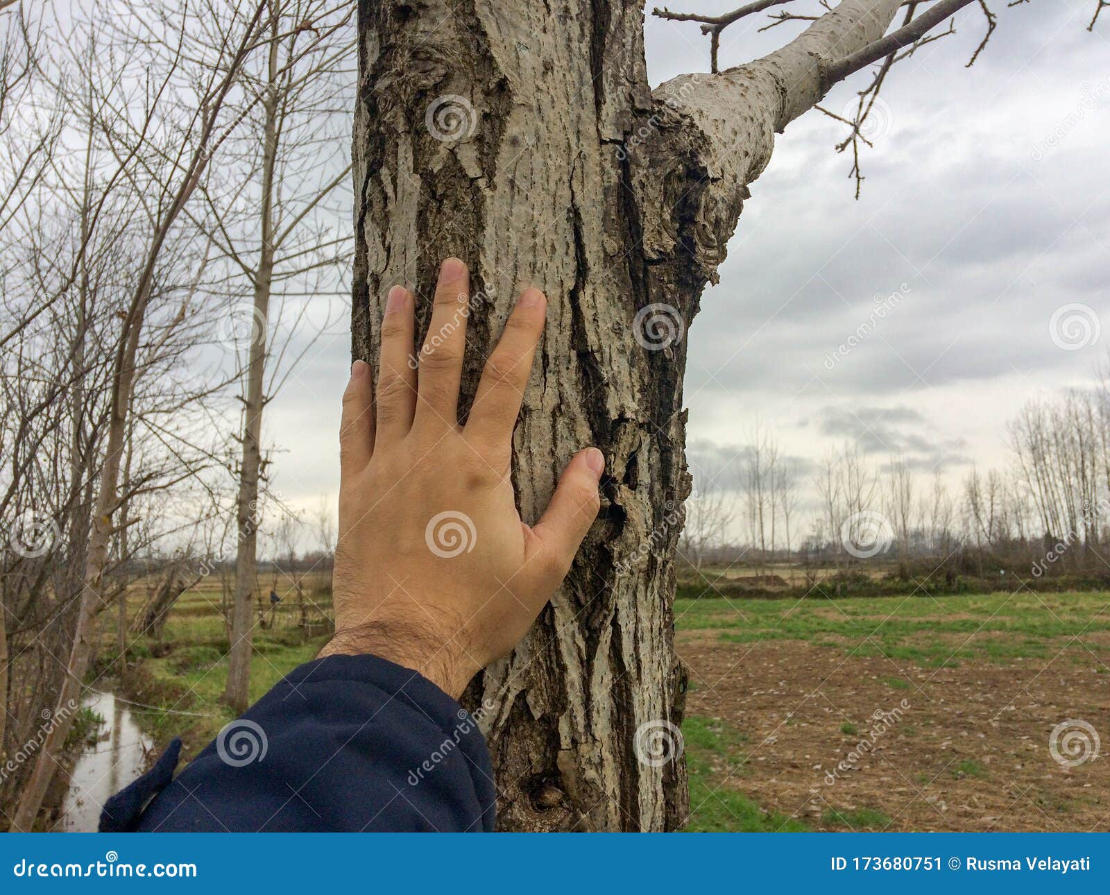 Hand Touching Tree Trunk. Keeping Touch Nature Stock Image - Image of ...