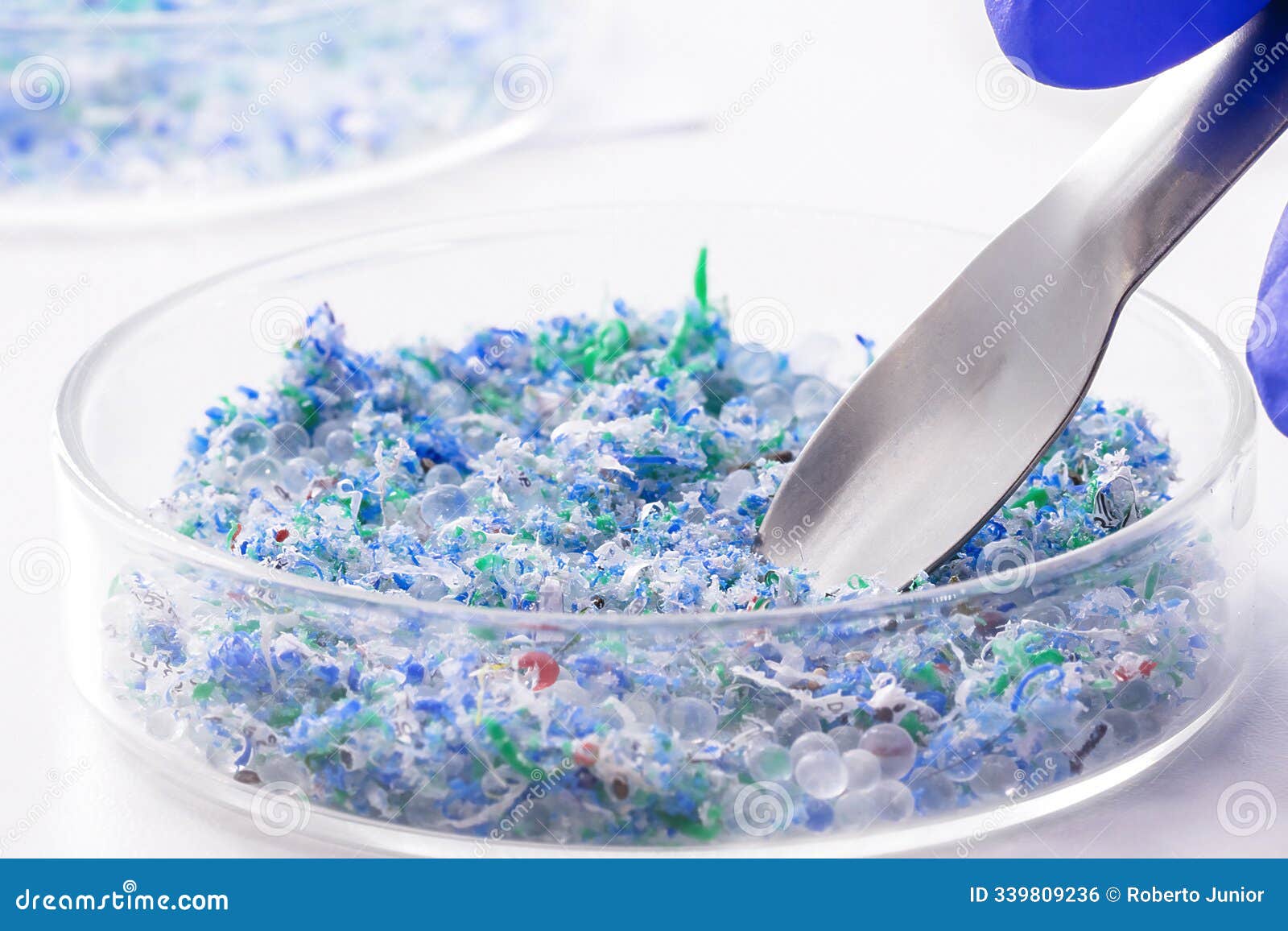 Hand of Traces of Plastic and Microplastic in Petri Dish Stock Photo ...