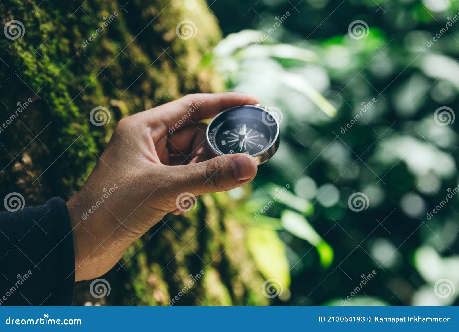 Hand of Traveler Holding Compass in Deep Forest Stock Image - Image of ...