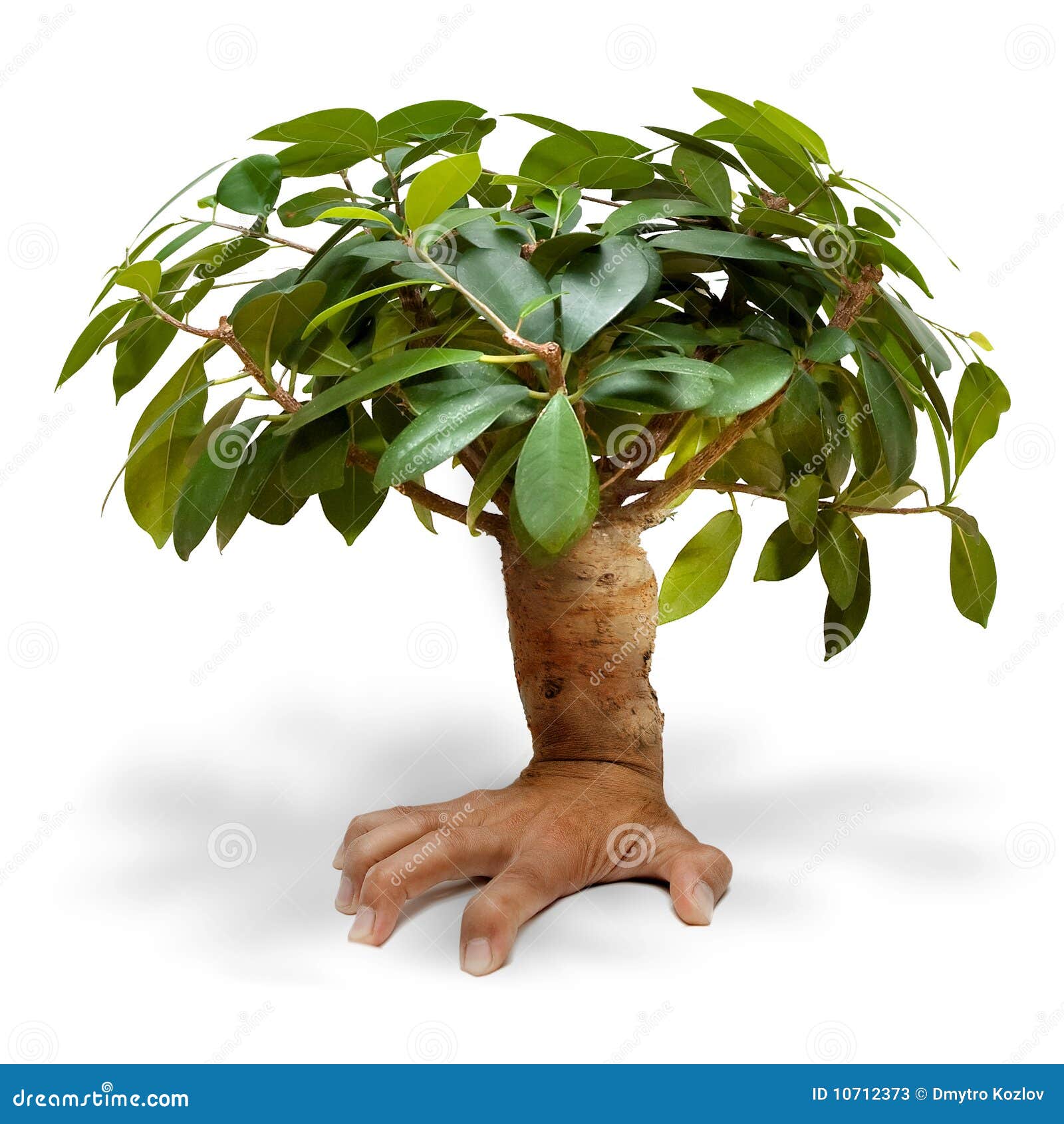 Hand tree stock image. Image of creativity, healthy, grow - 10712373