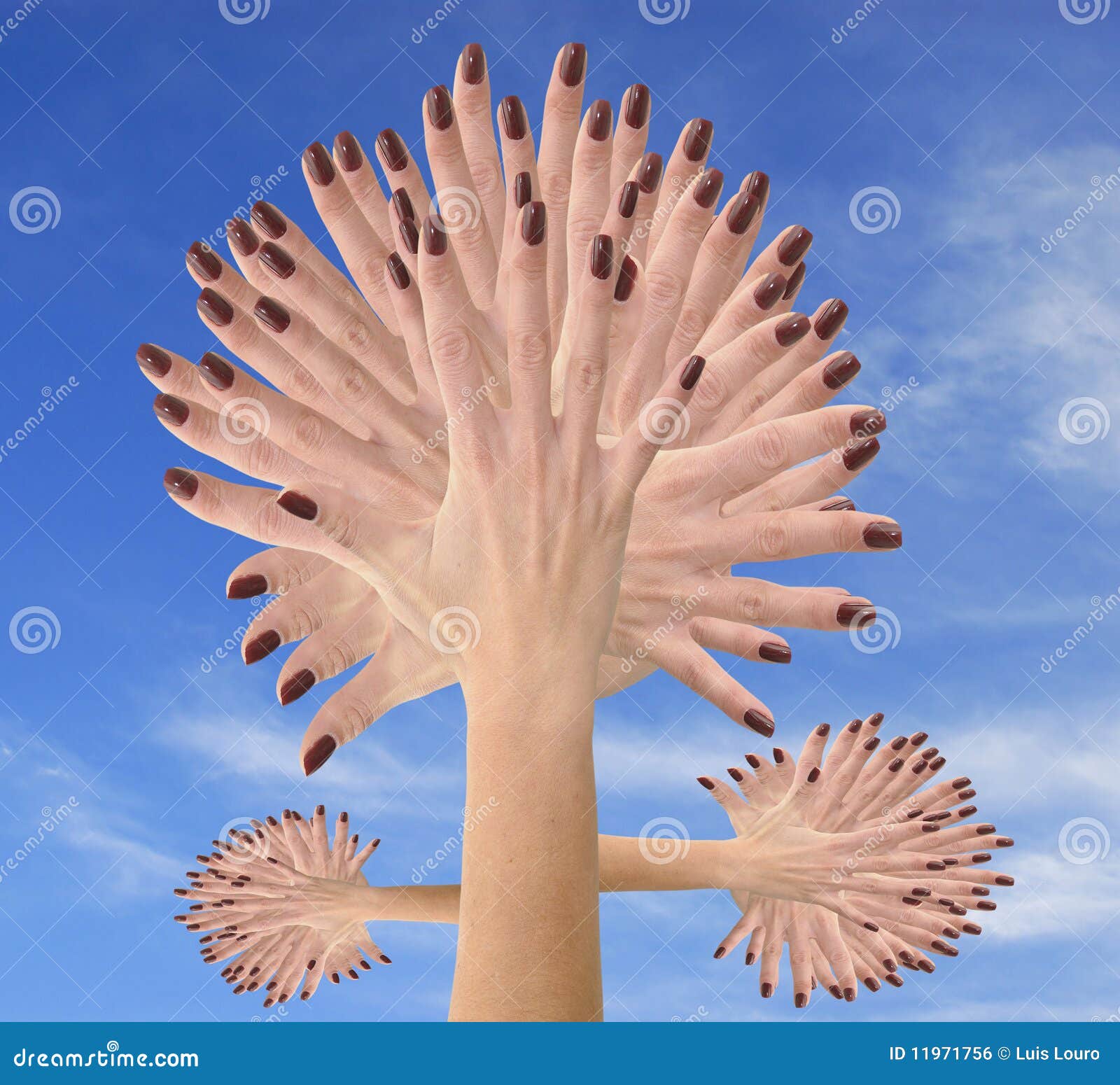 Hand tree stock photo. Image of summer, love, blue, vacation - 11971756