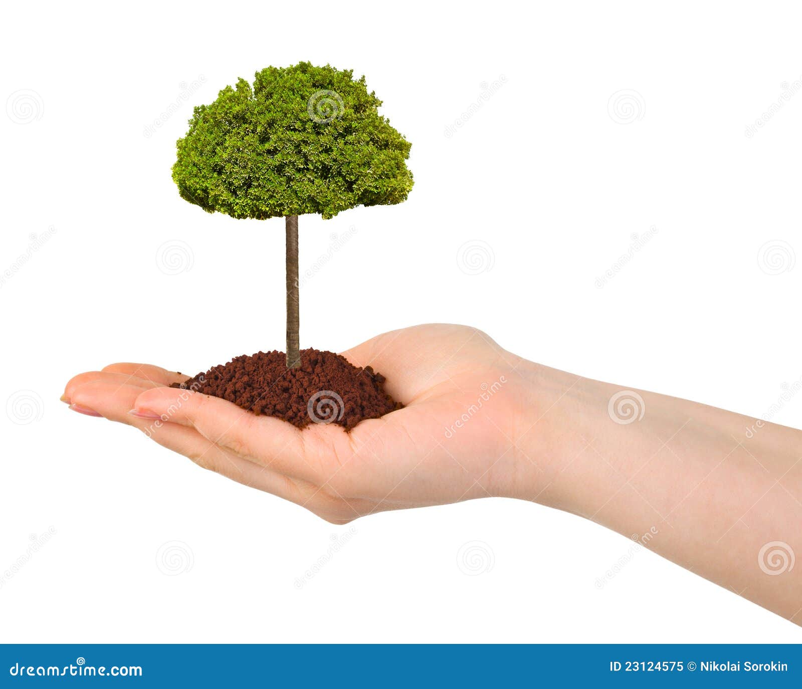 Hand And Tree Royalty-Free Stock Photography | CartoonDealer.com #163337843