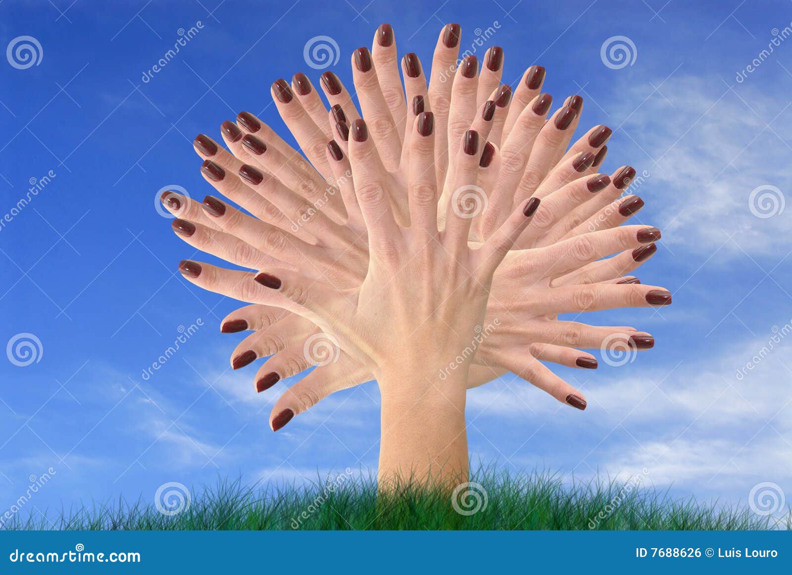Hand tree stock photo. Image of clouds, blue, hand, pray - 7688626