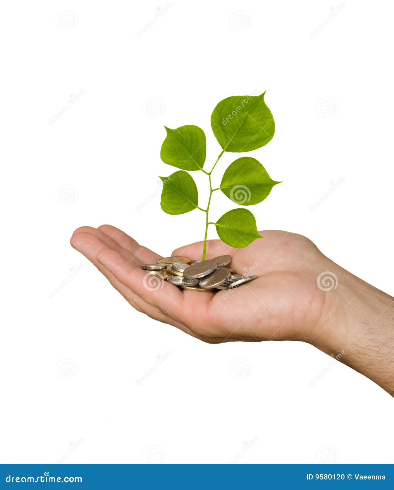 Hand with tree stock photo. Image of growing, isolation - 9580120