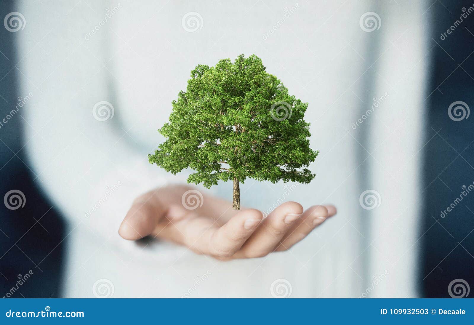 Tree on Hand, Green Energy, Ecology Stock Image - Image of leaf ...