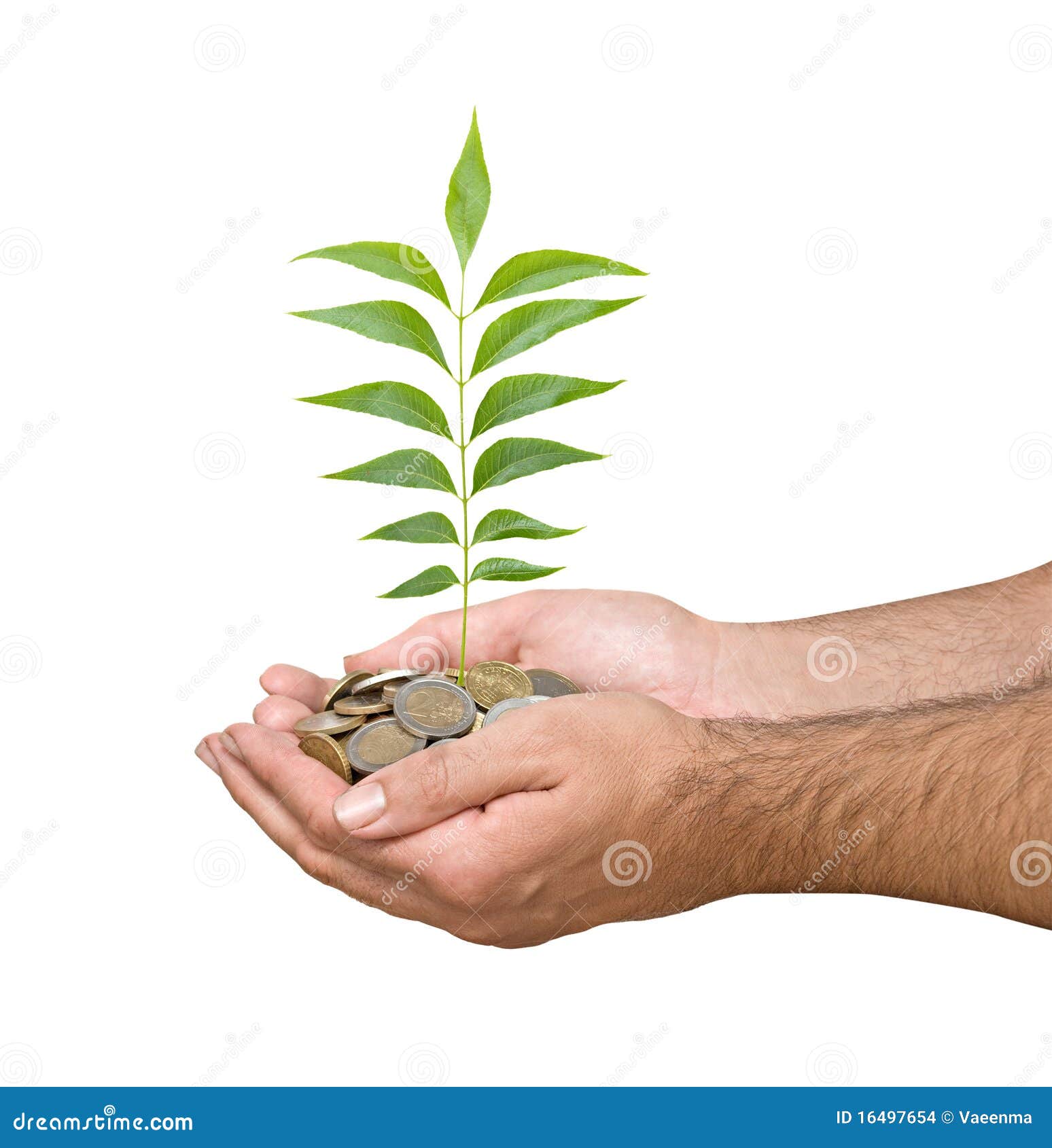 Hand with a Tree Growing from Coins Stock Photo - Image of closeup ...