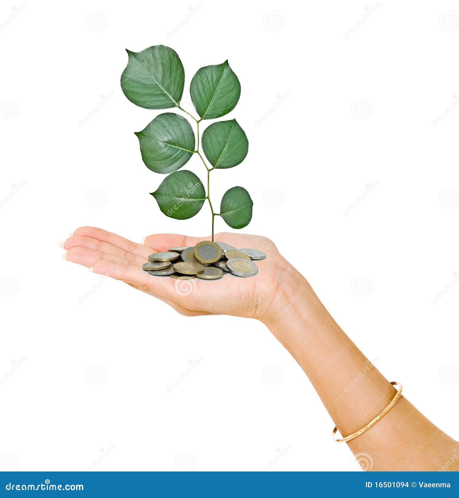 Hand with Tree Growing from Coins Stock Photo - Image of issue ...