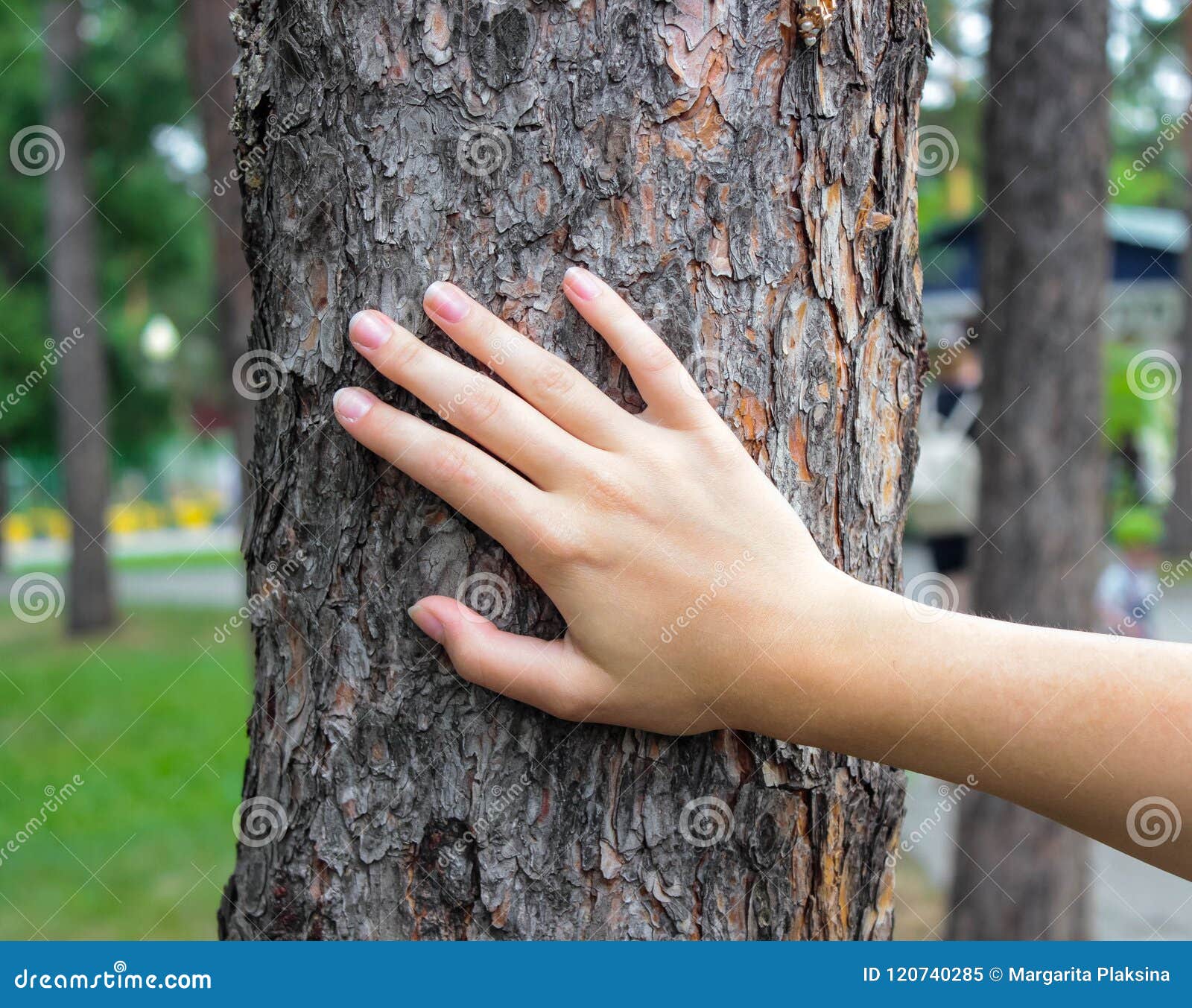Hand on the tree trunk stock image. Image of ecologist - 120740285
