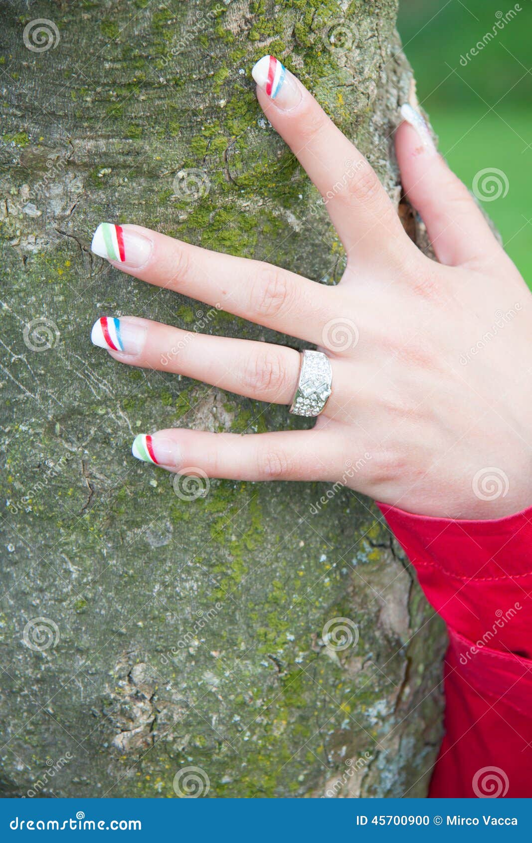 Hand on tree stock photo. Image of woman, stem, tree - 45700900