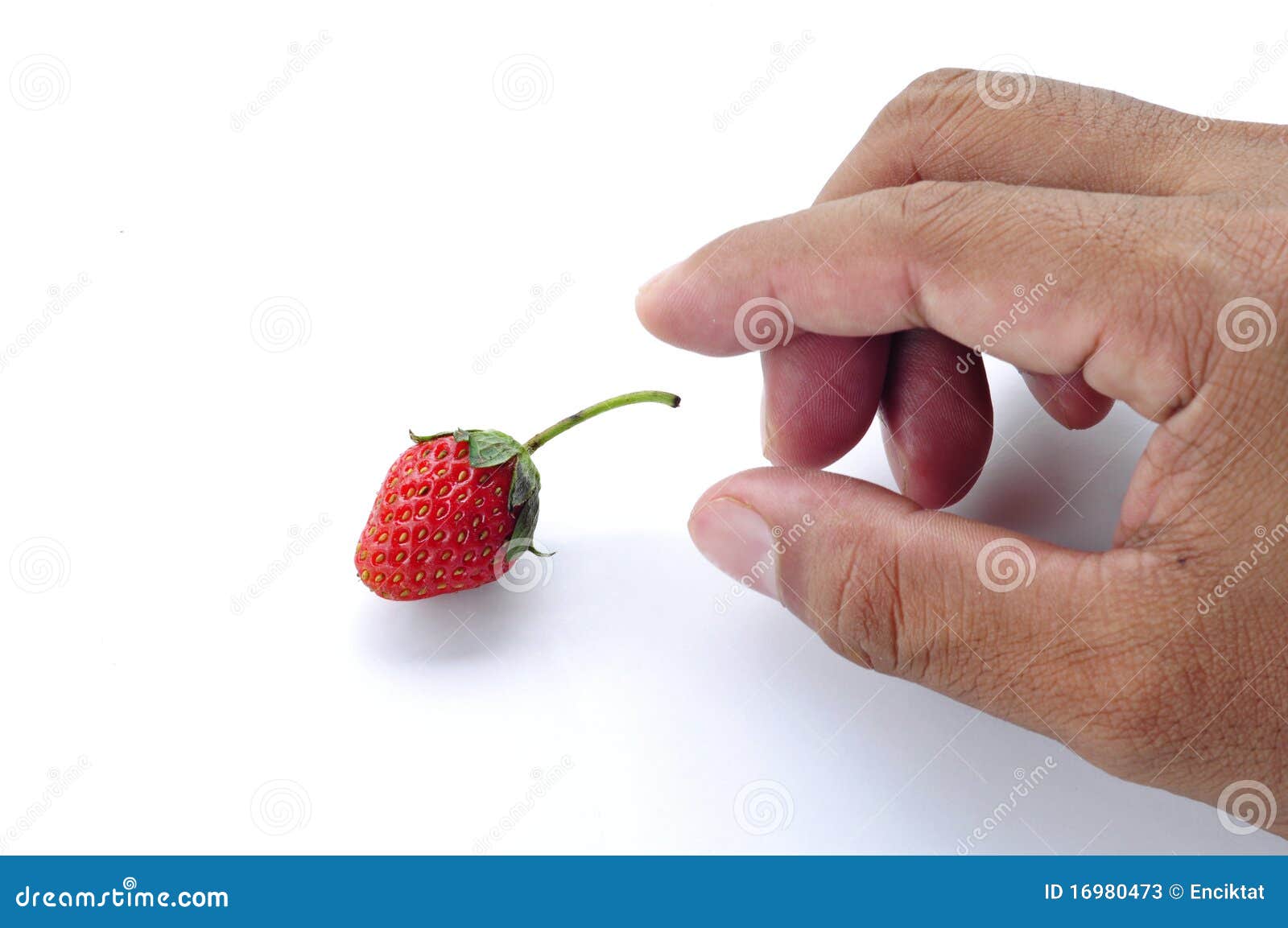 Hand Try To Pick a Fresh Strawberry Stock Image - Image of healthy ...