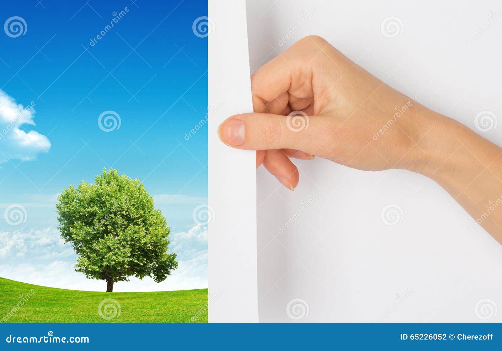 Hand turning page stock photo. Image of grass, turning - 65226052