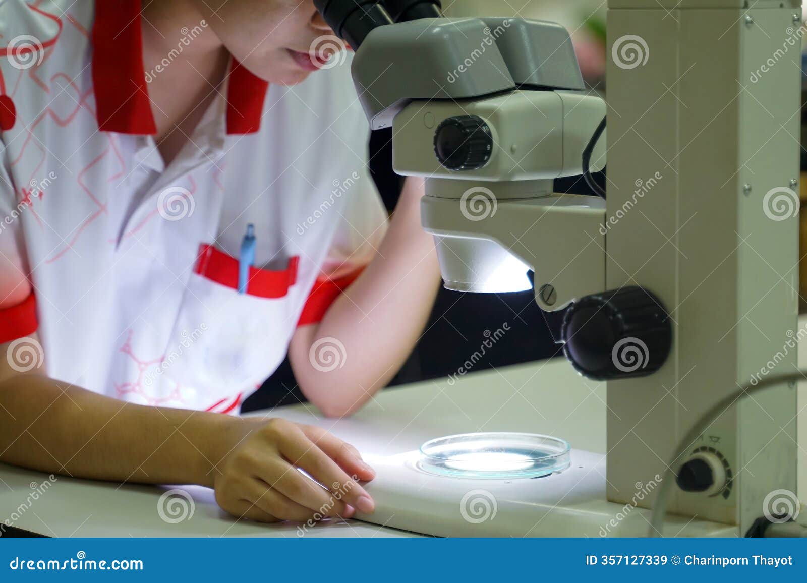 Hand Turns the Microscope S Fine Focus Adjustment Knob To Increase the ...