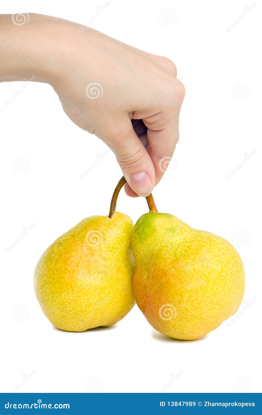 Hand and two pear stock image. Image of objects, fruits - 13847989