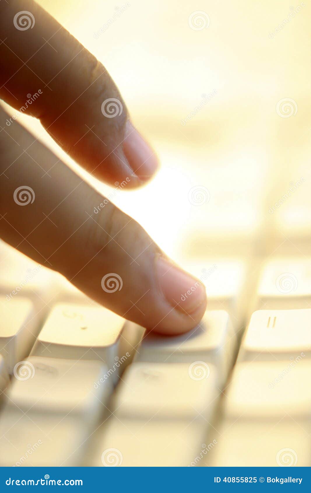 Hand Typing Stock Image | CartoonDealer.com #40855825