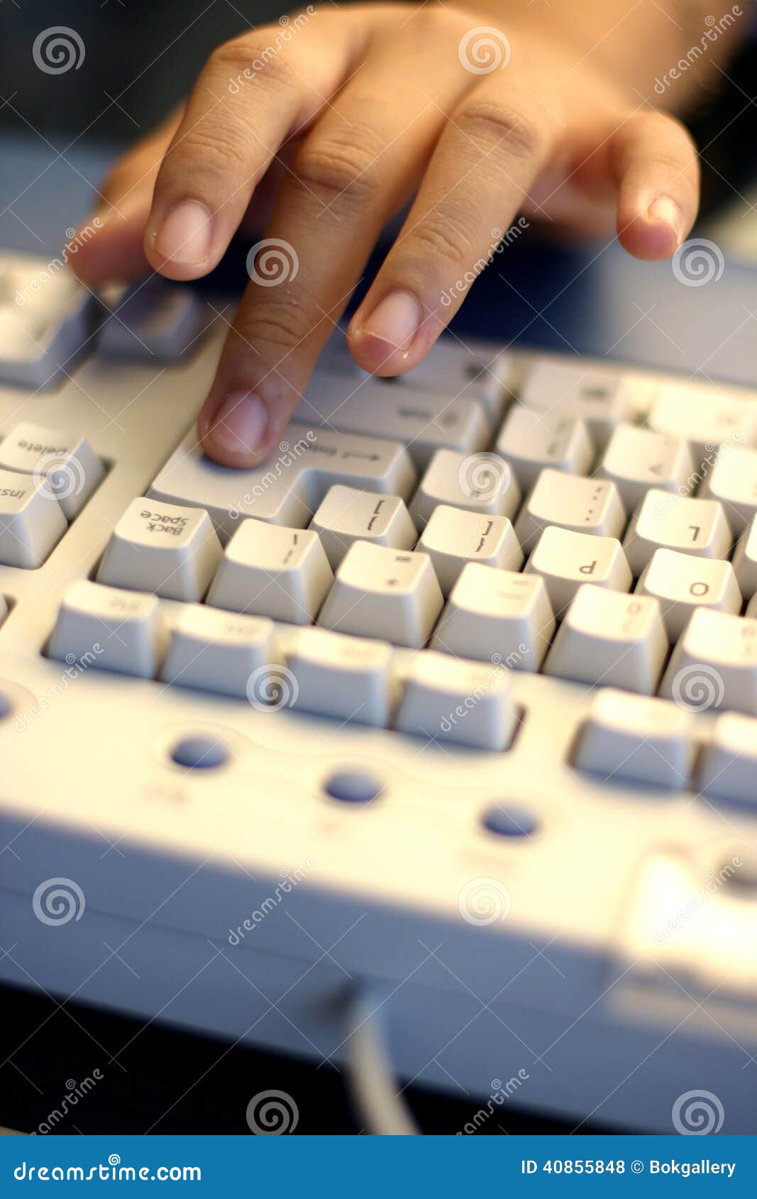 Hand typing stock photo. Image of typing, trading, commercial - 40855848