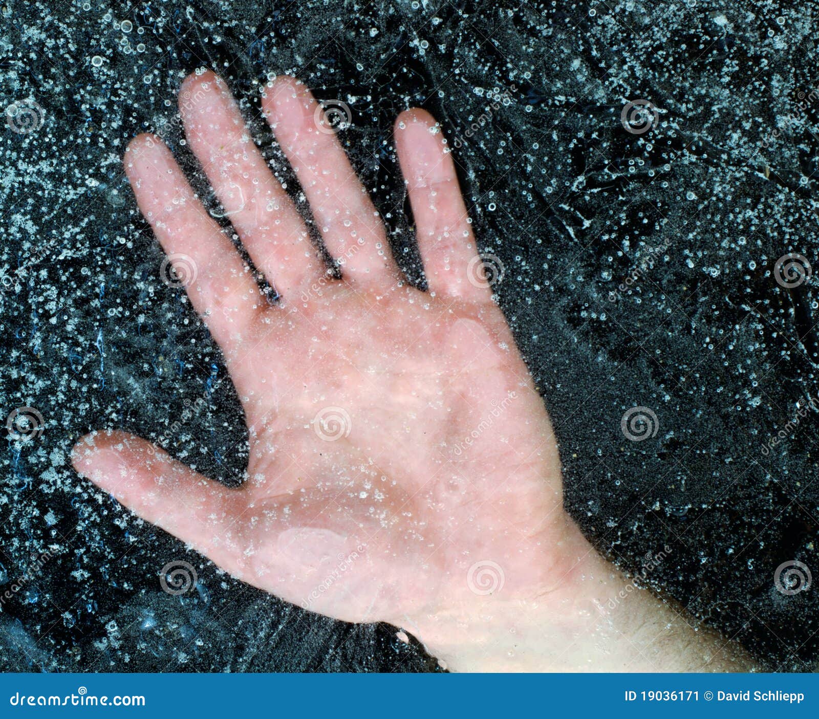 Hand Under the Ice stock image. Image of freeze, still - 19036171