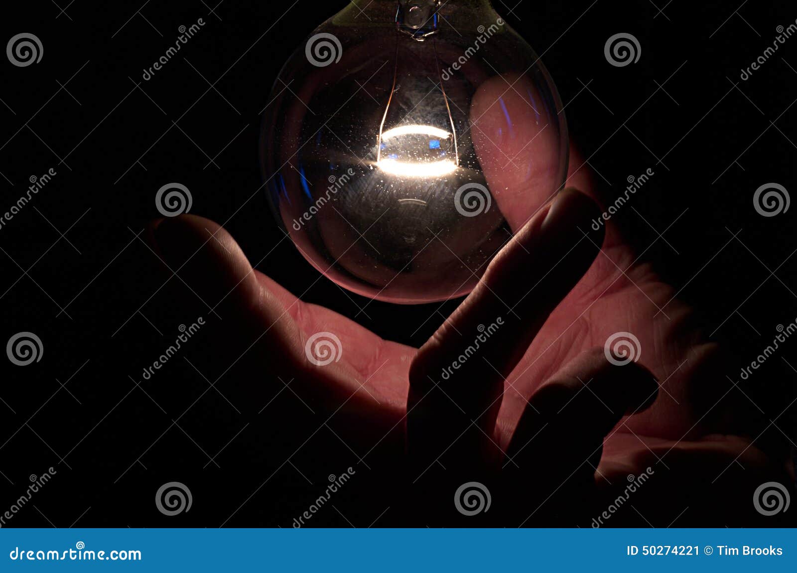 Hand Under Light Bulb stock image. Image of clear, filament - 50274221