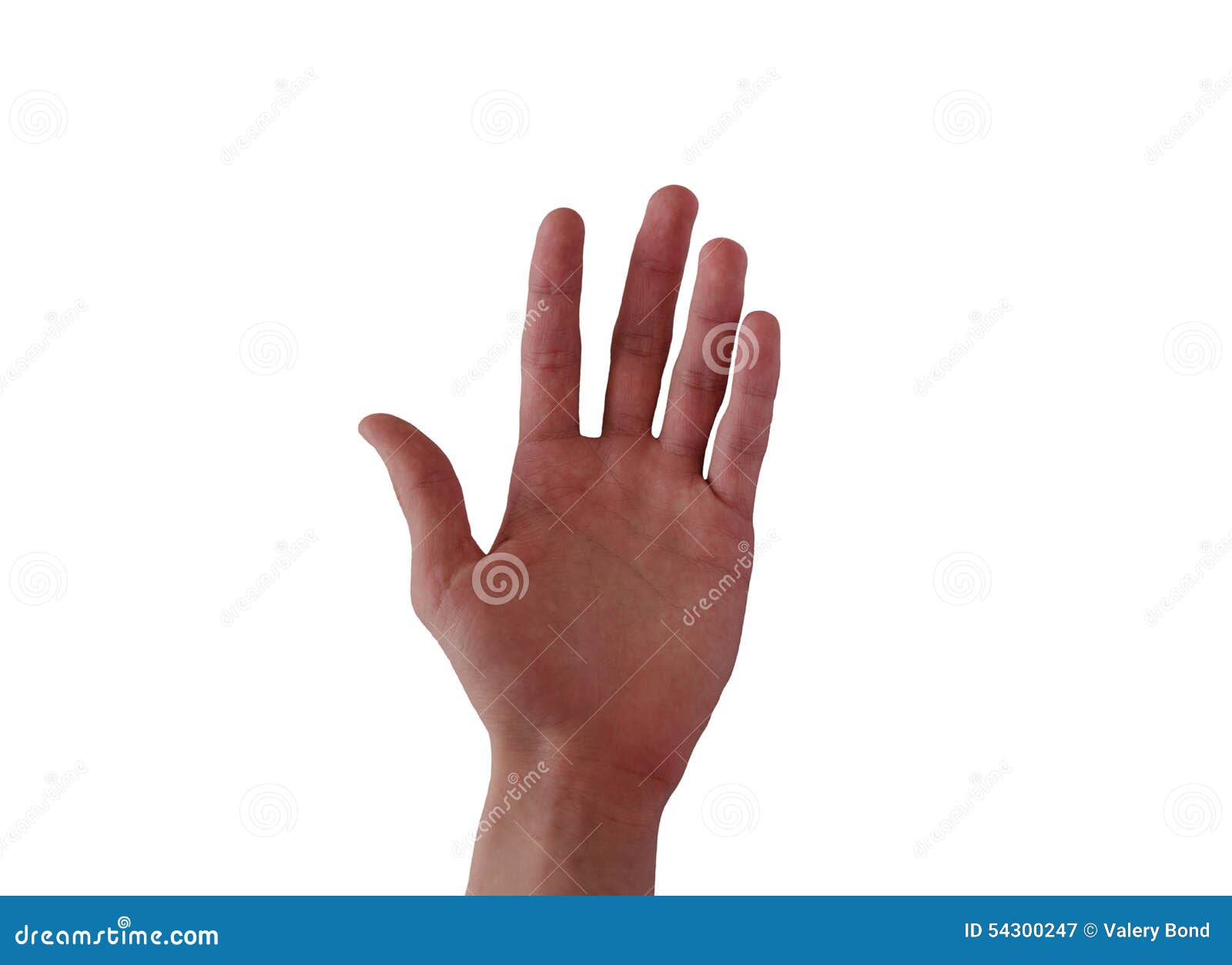 Hand Up stock image. Image of cupped, color, empty, eyesight - 54300247