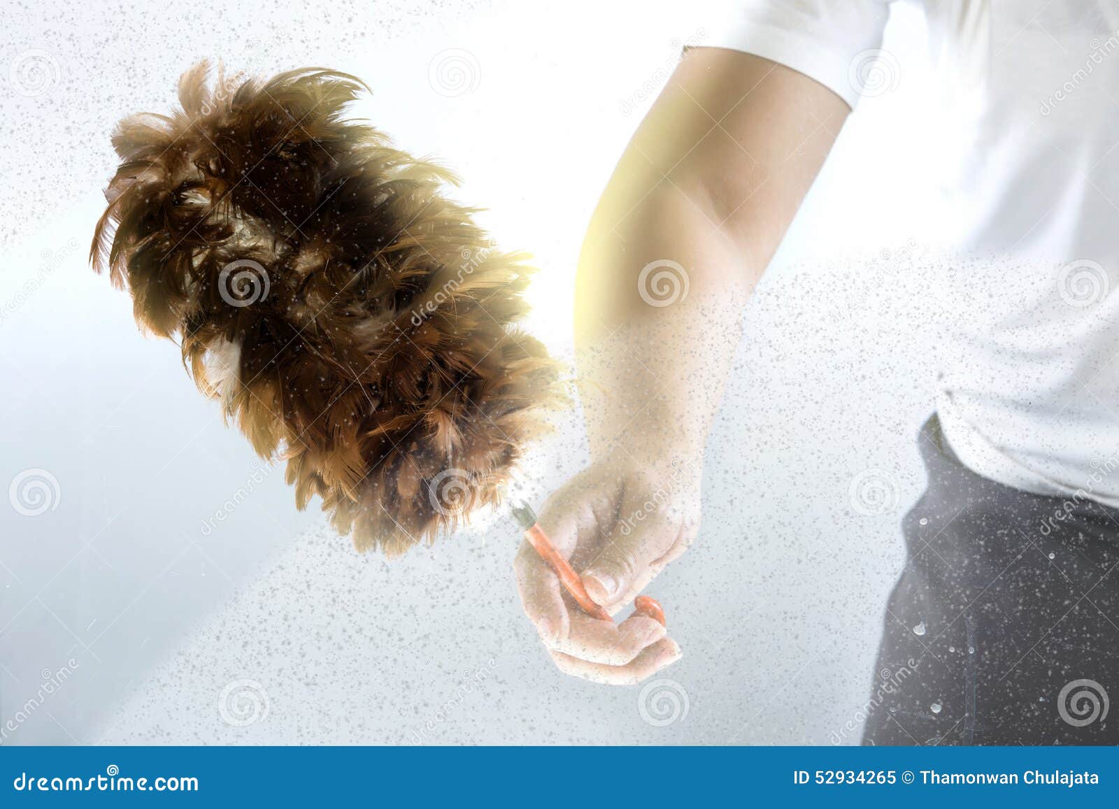 A Hand Using a Feather Duster Stock Image - Image of duster, holding ...