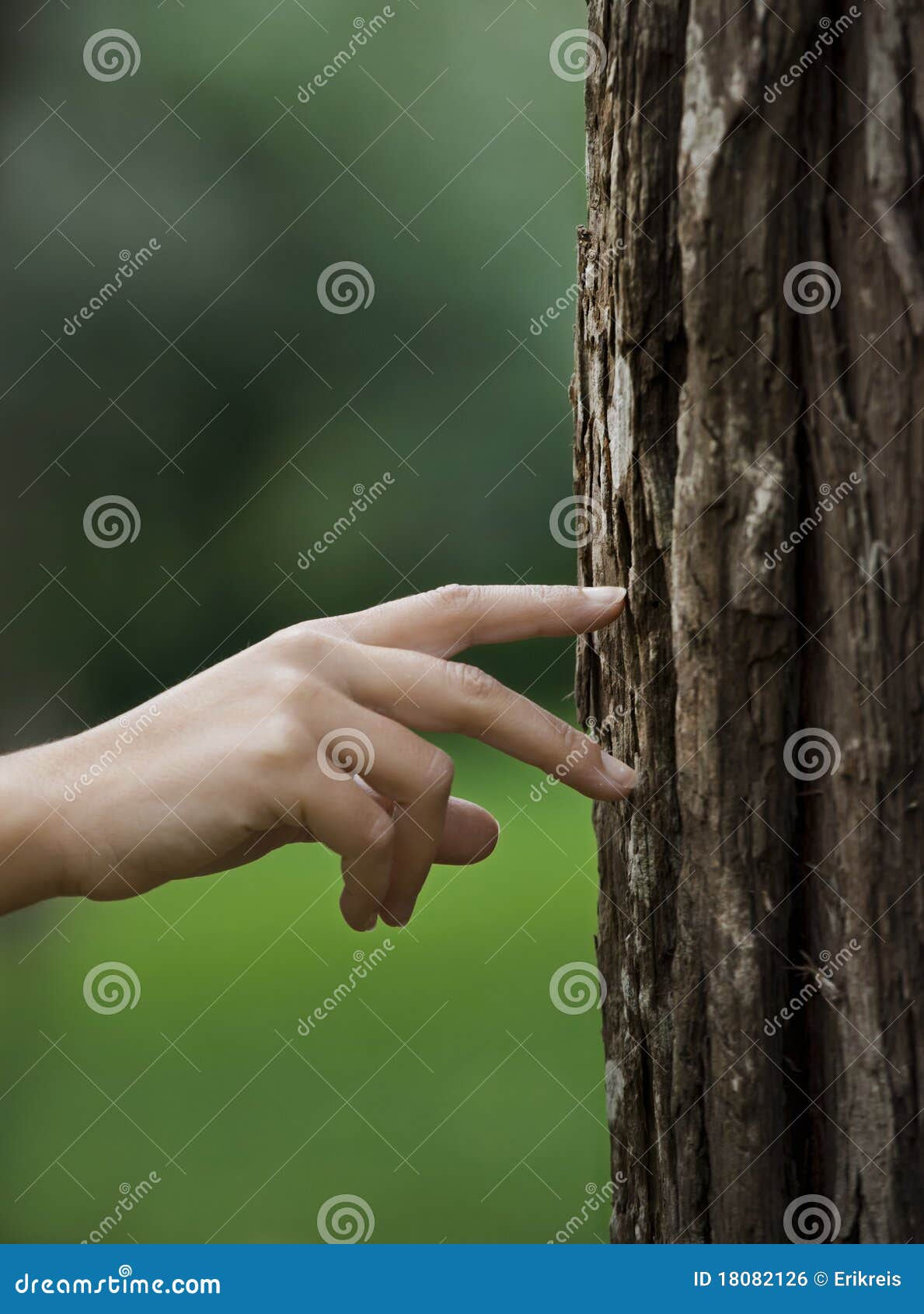 Hand walking stock photo. Image of protection, concept - 18082126