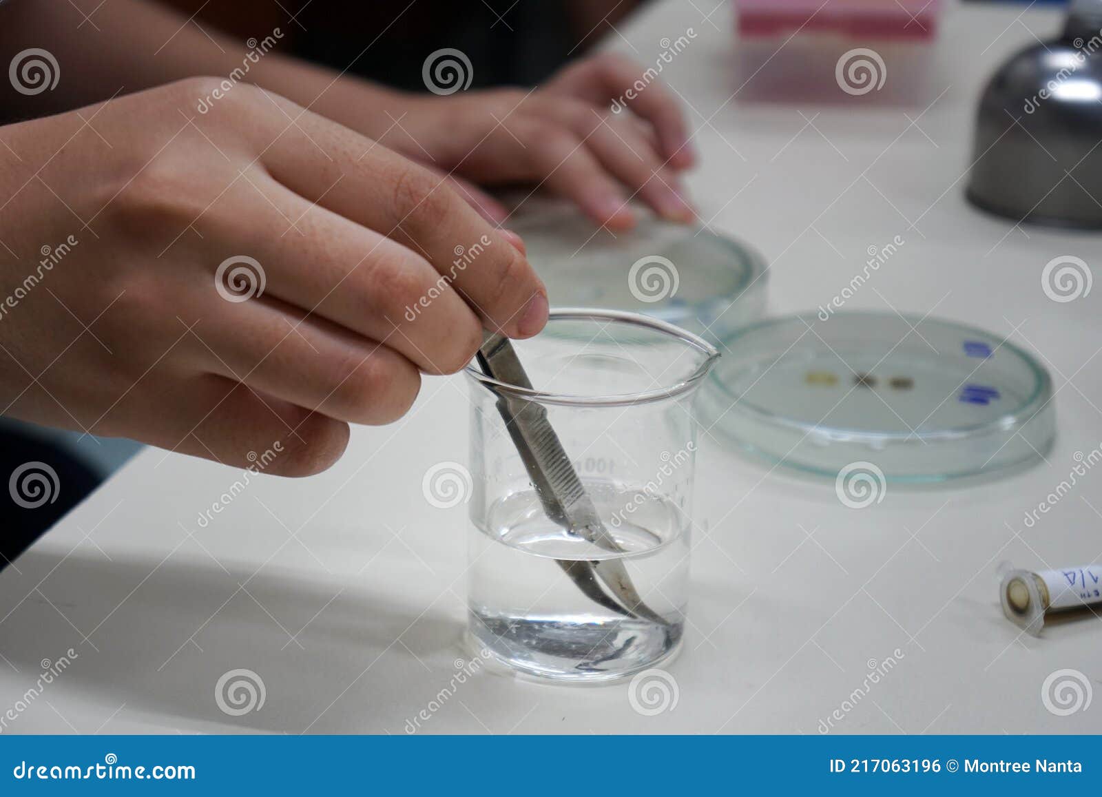 Hand Was Holding Forcep and Dipped in the Alcohol Contained in the ...