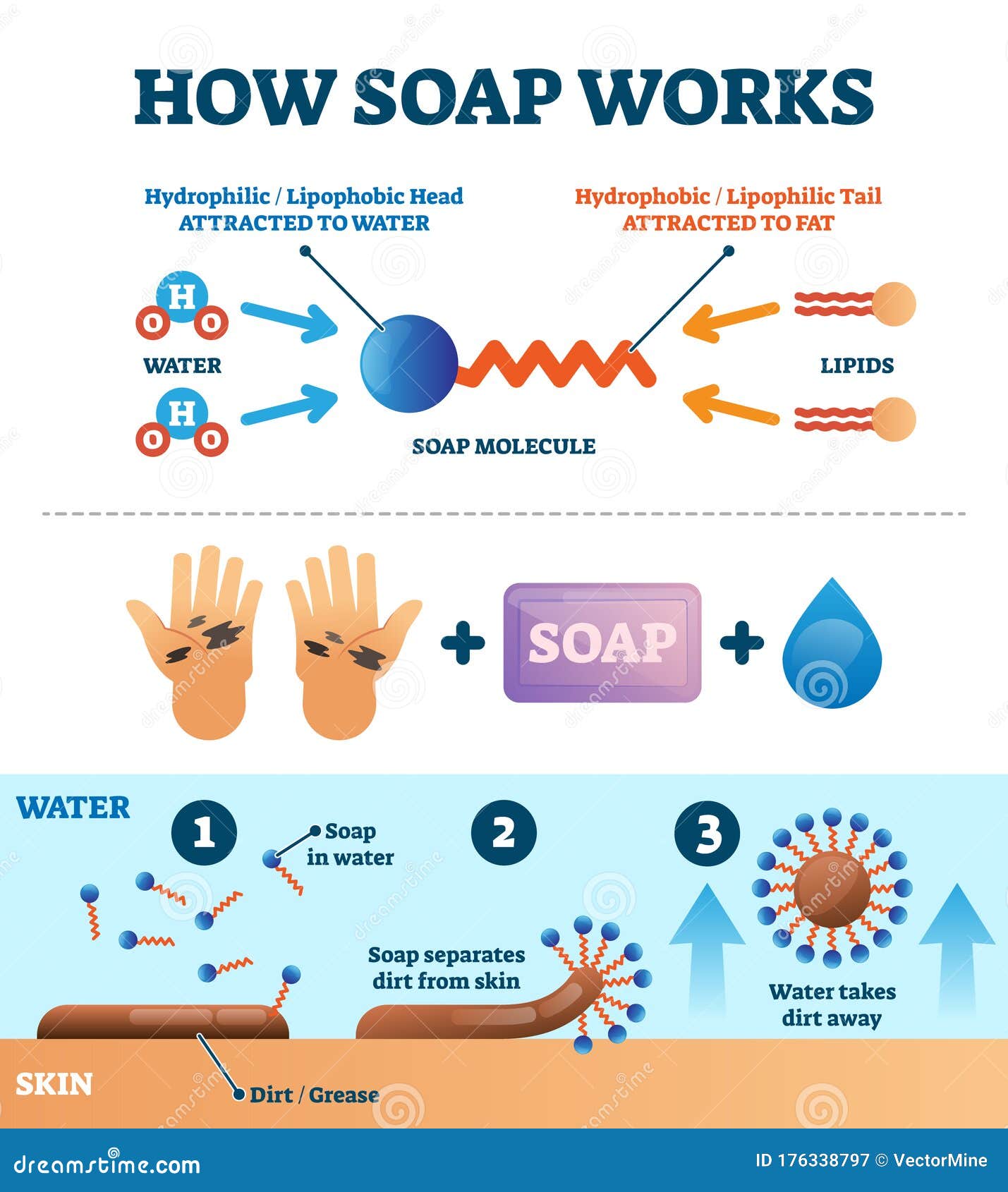 Hand Washing with Soap Vector Illustration. Educational Explanation ...
