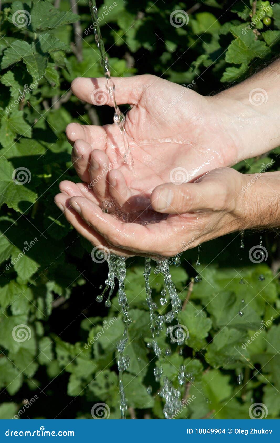 Hand Washing in the Summer of Clean Water Stock Photo - Image of cool ...