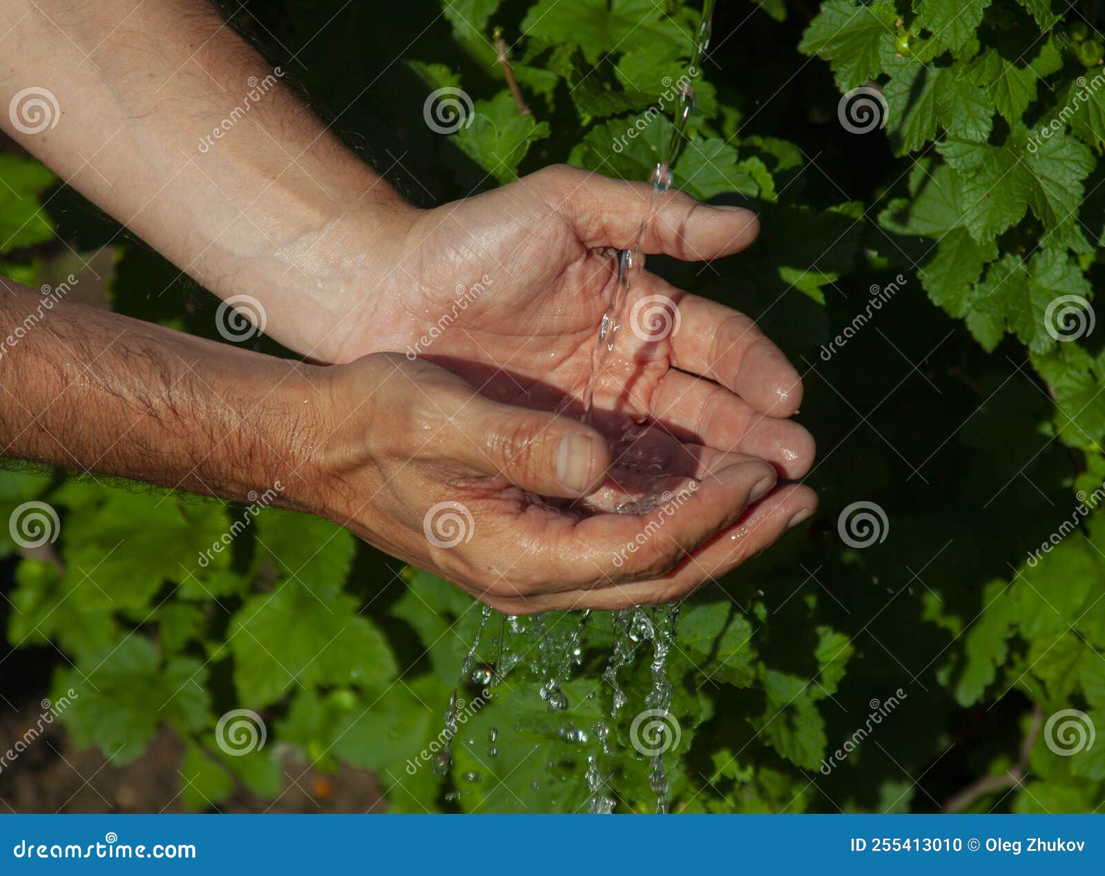 Hand Washing in the Summer of Clean Water Stock Photo - Image of cool ...