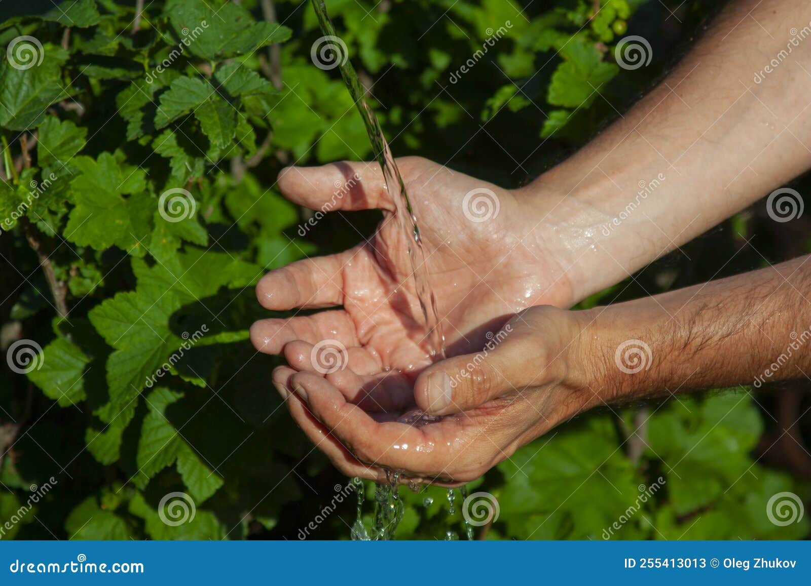 Hand Washing in the Summer of Clean Water Stock Image - Image of clean ...