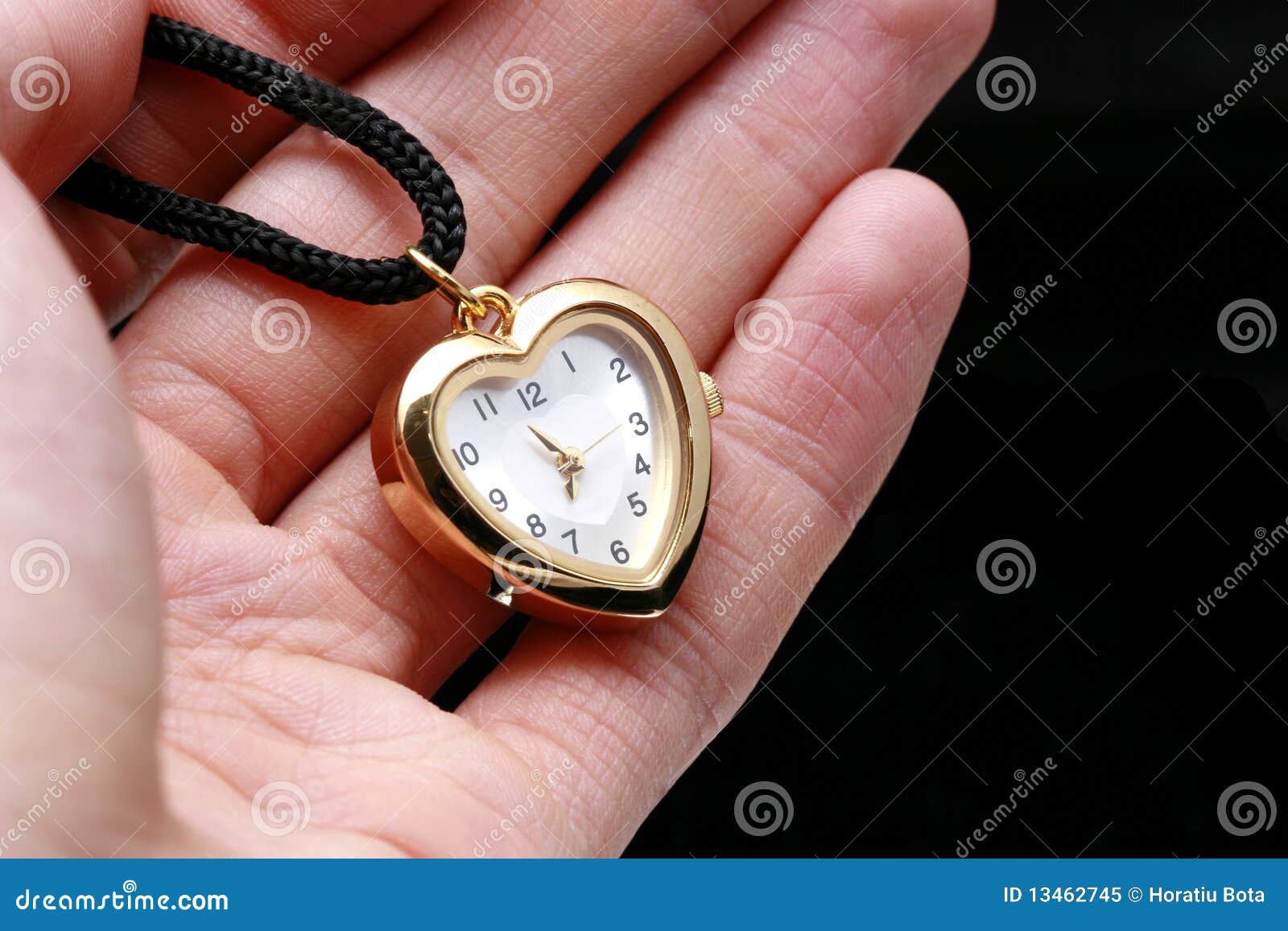Hand and watch stock image. Image of precise, watch, expensive - 13462745