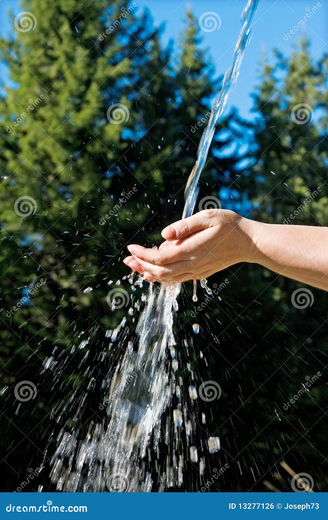 Hand with water stock photo. Image of green, finger, human - 13277126