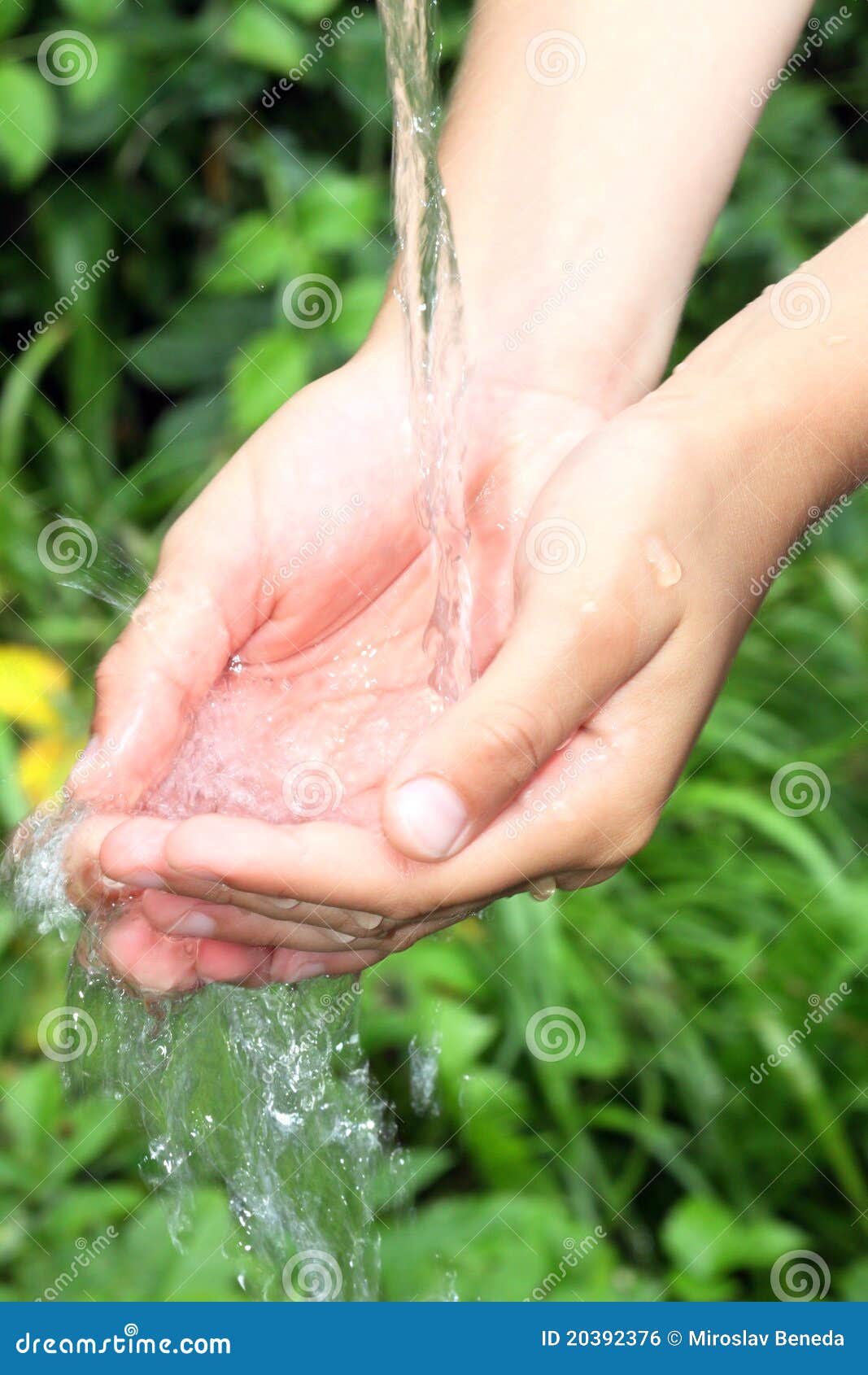 Hand and water stock photo. Image of nature, background - 20392376