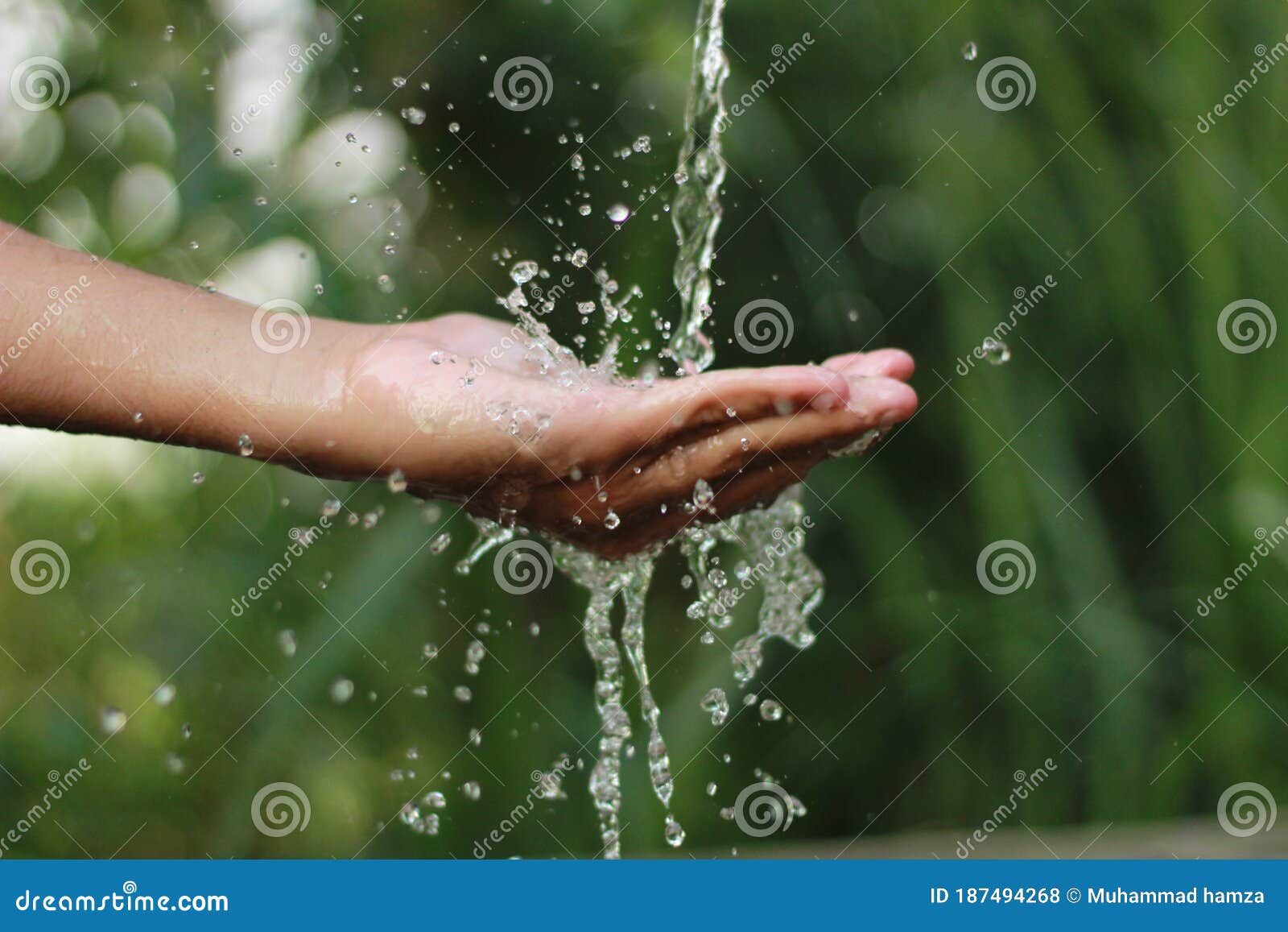 Hand water drop scene stock photo. Image of water, invertebrate - 187494268