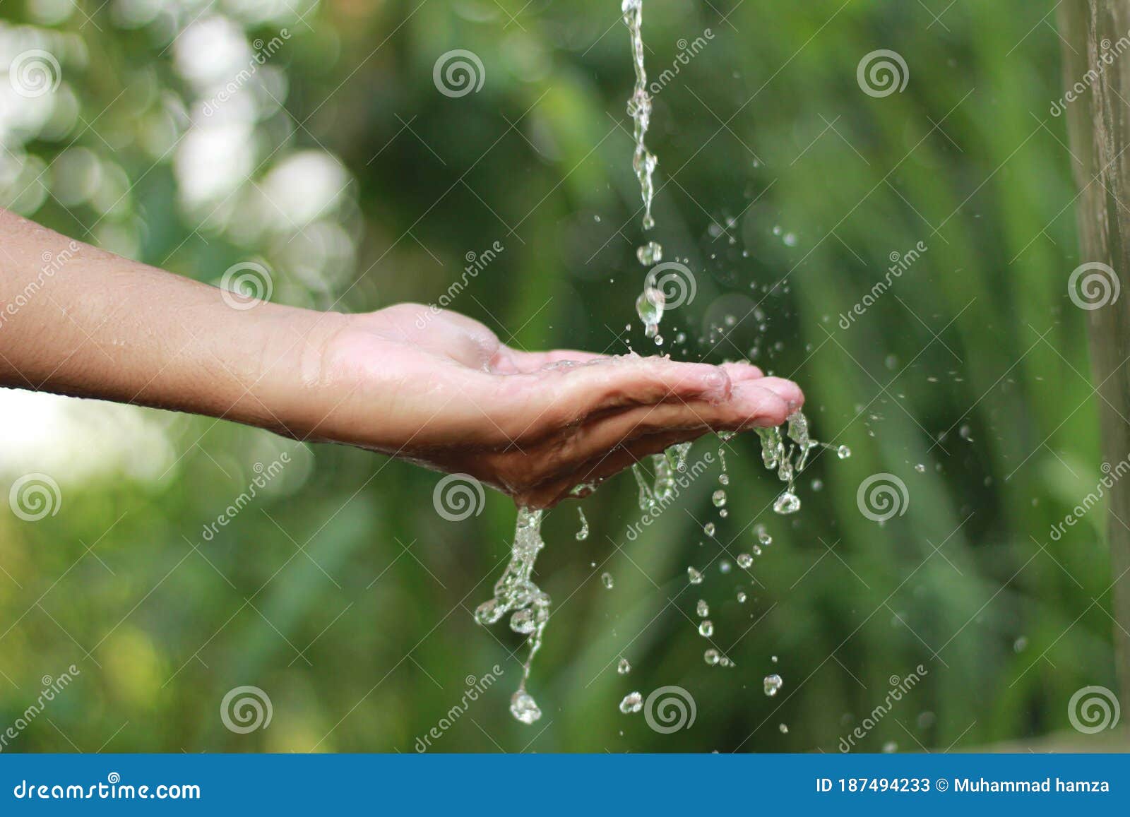 Hand water drop scene stock image. Image of lawn, nature - 187494233