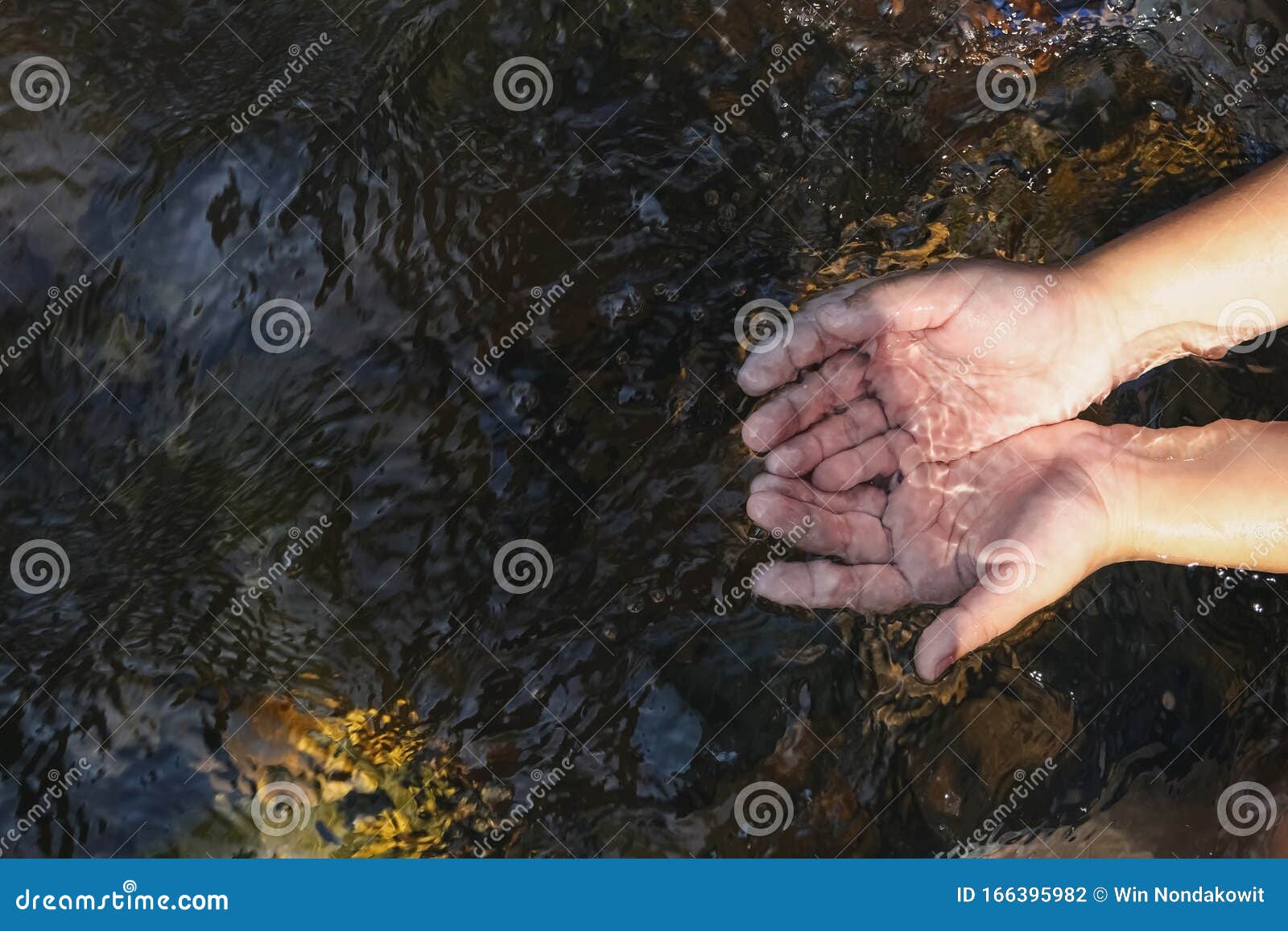 Hand in water stream stock photo. Image of water, waterfall - 166395982