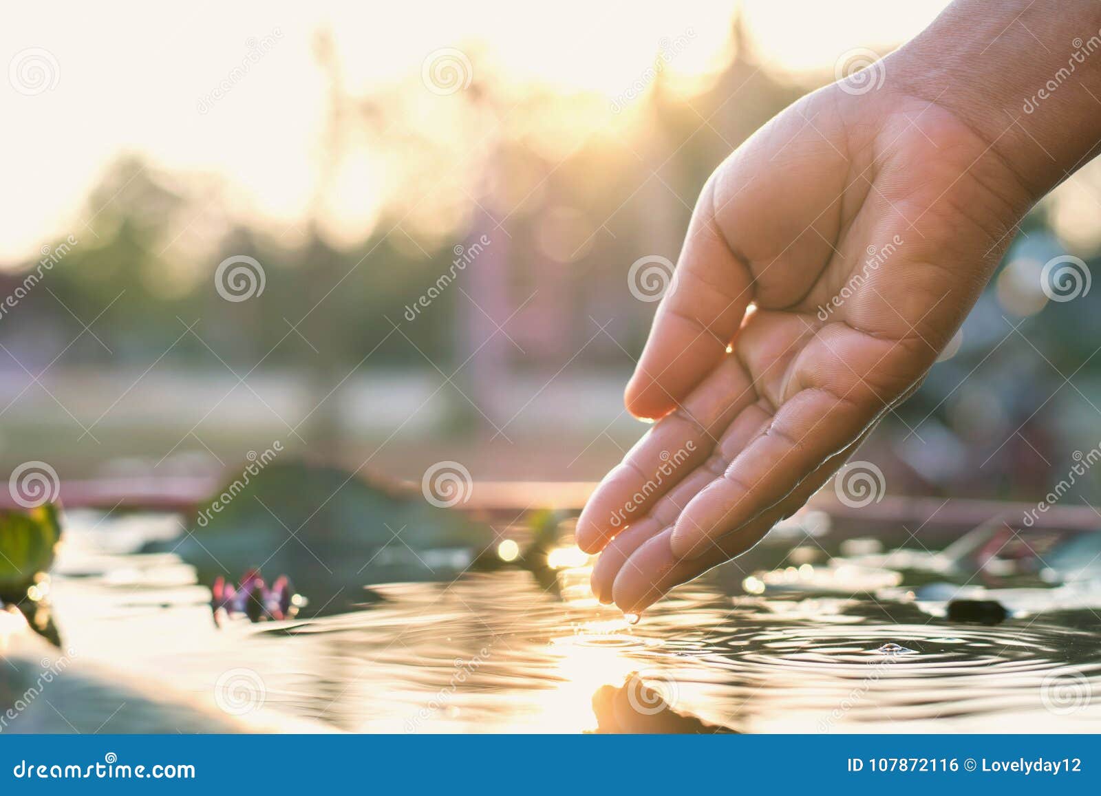Hand and water stock photo. Image of freshness, environment - 107872116