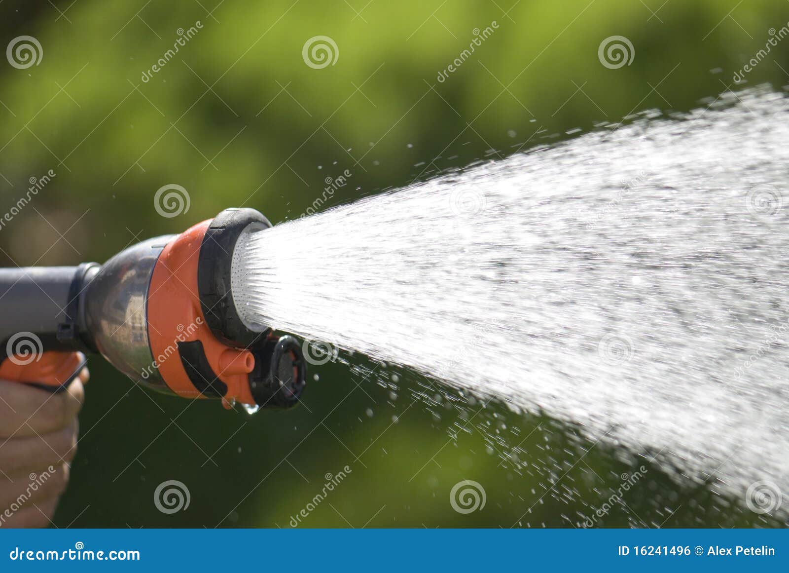 Hand watering stock photo. Image of nature, hand, irrigation - 16241496