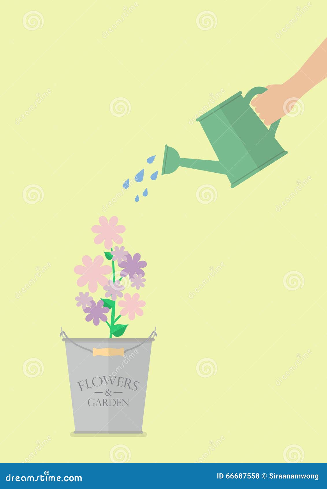 Watering Pot And Flower Cartoon Vector | CartoonDealer.com #42179119