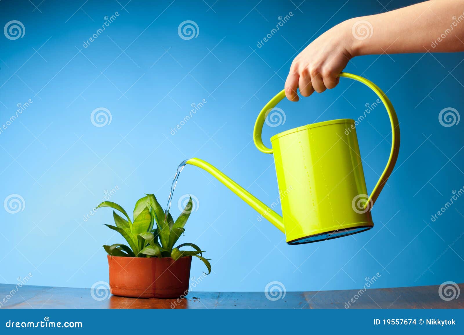 Plant Watering Tools Royalty-Free Stock Photography | CartoonDealer.com ...