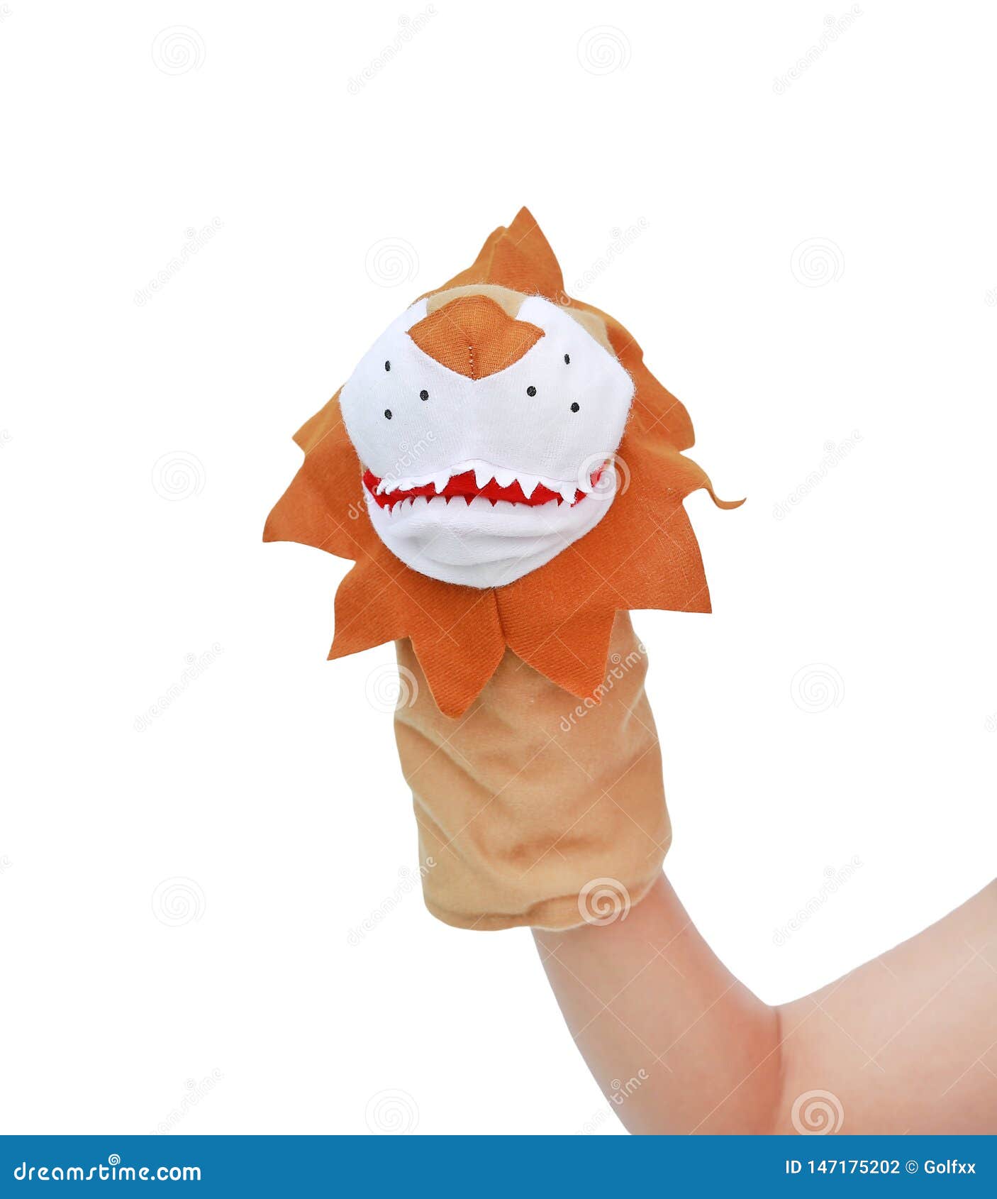 Hand Wearing Lion Puppets Isolated on White Background, Lion Head Stock ...
