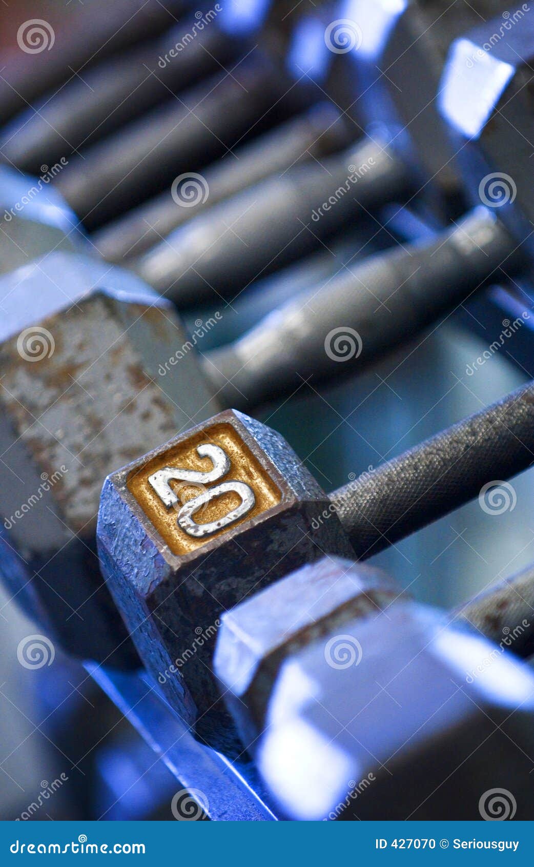 Hand weights on rack stock photo. Image of fitness, training - 427070