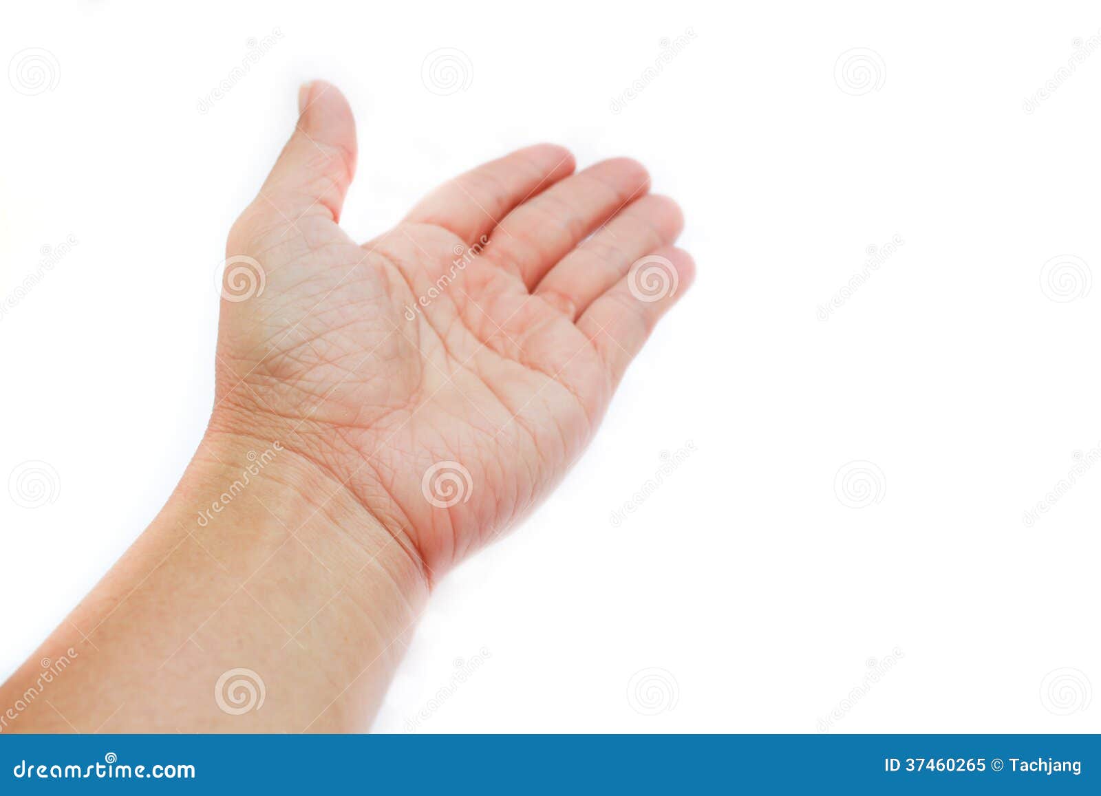 Hand with welcome sign. stock image. Image of business - 37460265