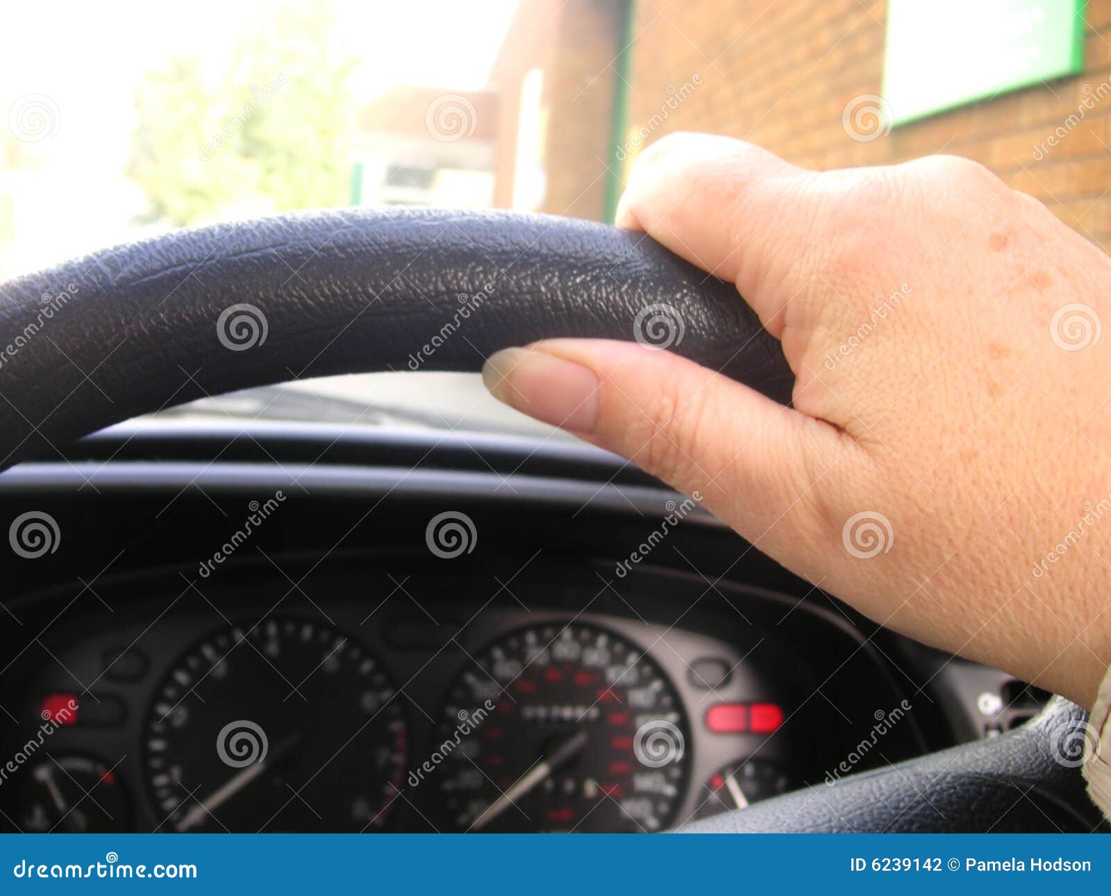 Hand On Wheel Picture. Image: 6239142
