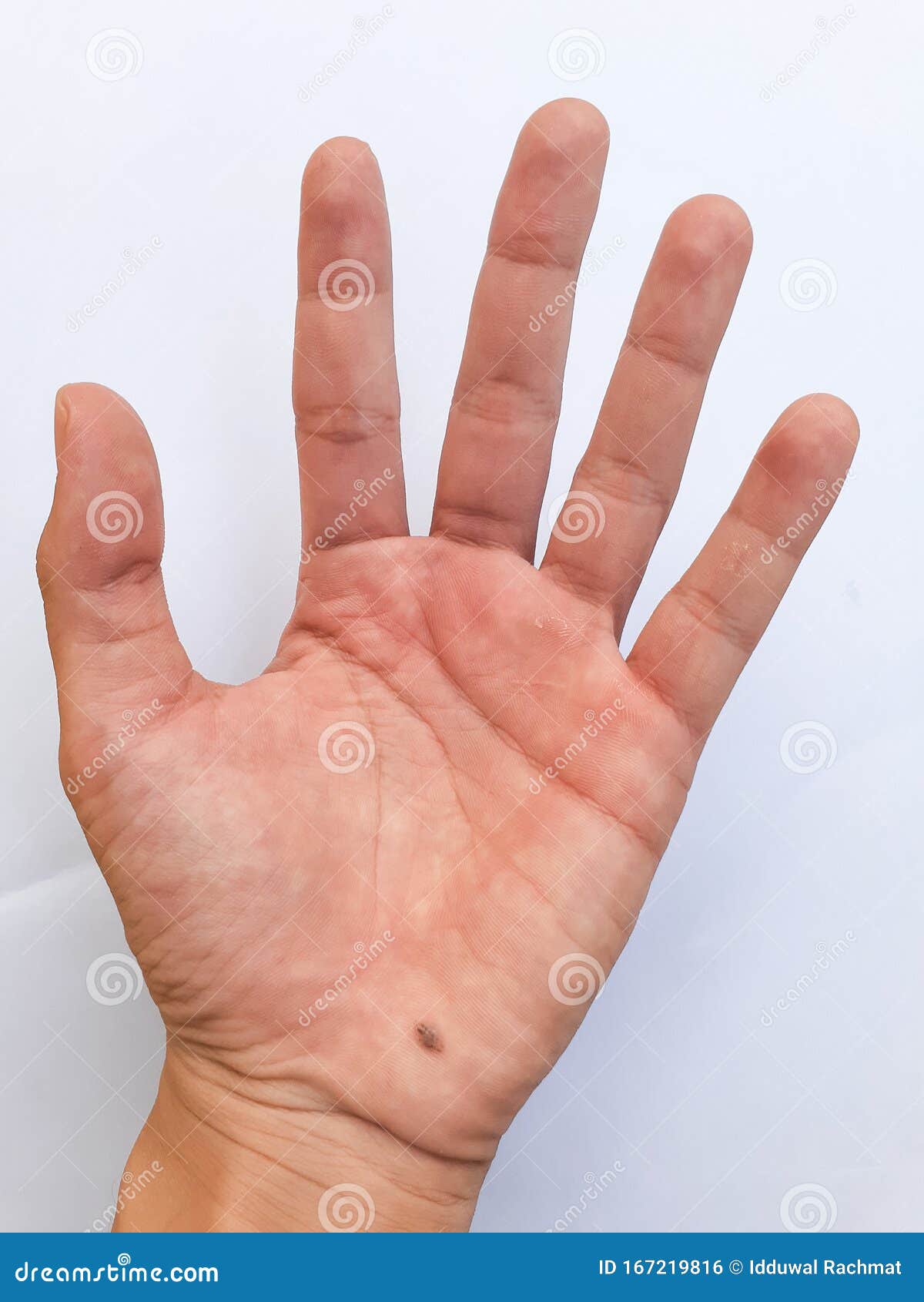 Hand on a white background stock photo. Image of hand - 167219816