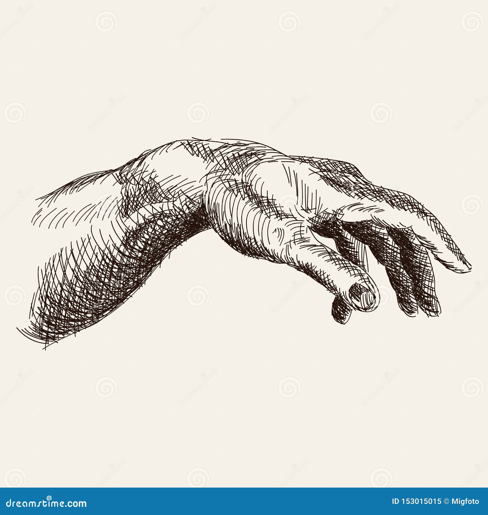 Hand on a White Background. Stock Vector - Illustration of fragment ...