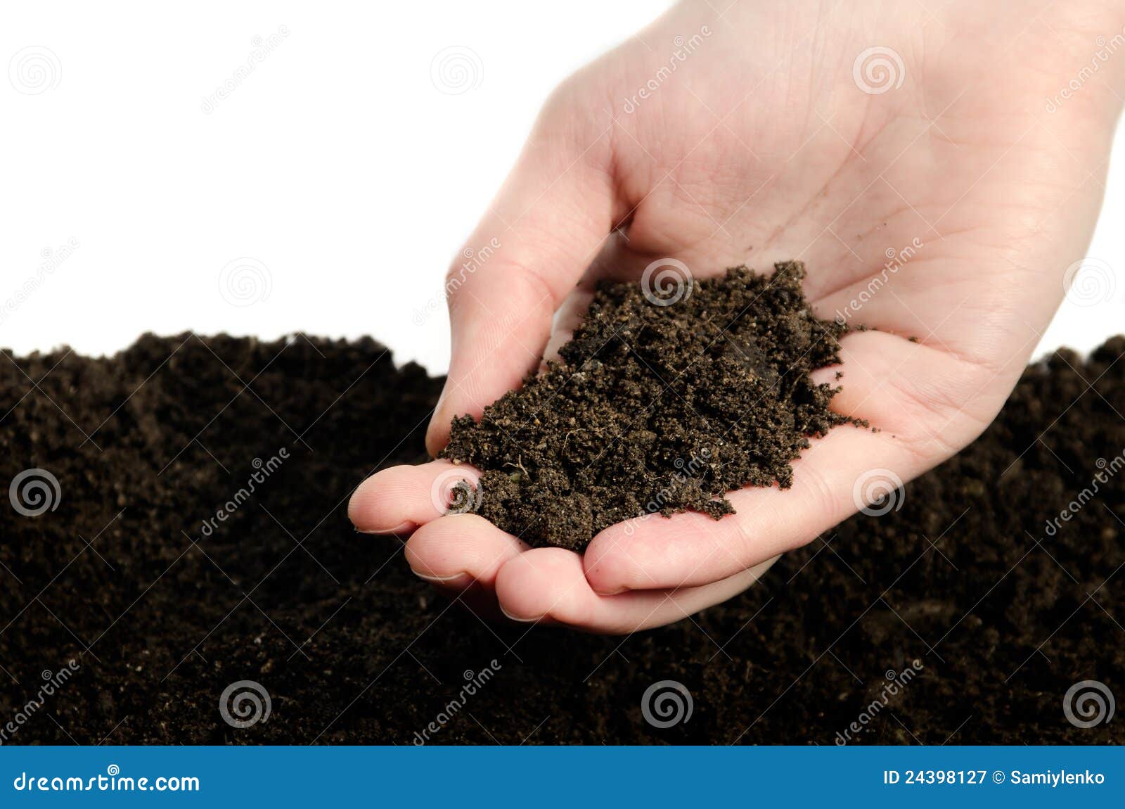 Hand whith soil stock image. Image of soil, gardening - 24398127