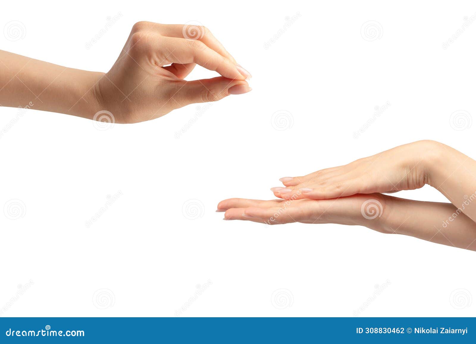 Hand of a Woman Holds Some Tiny or Thin Object Stock Photo - Image of ...