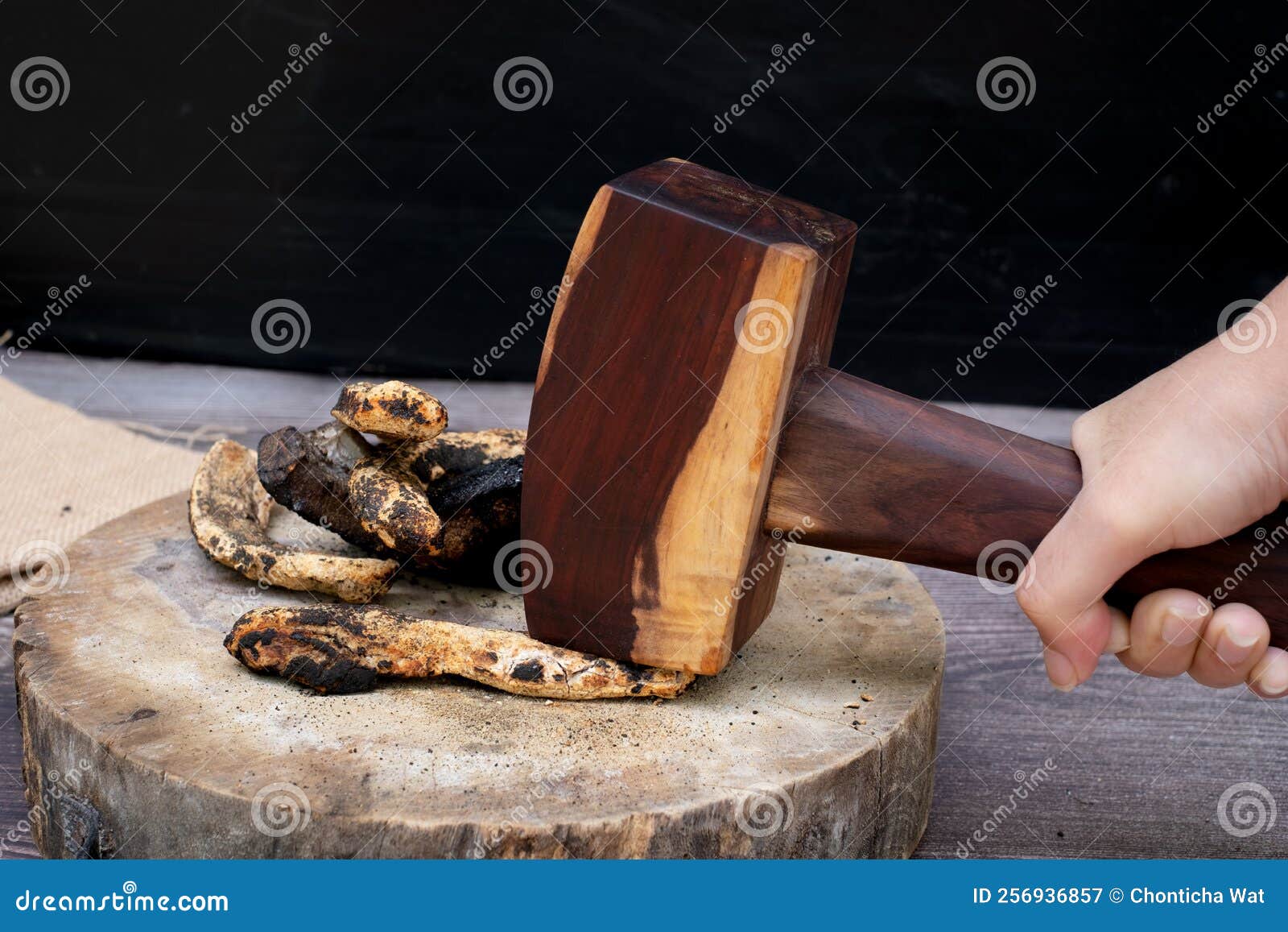 Hand of the Woman with the Hammer Smashed Onto the Buff Leather Grilled ...