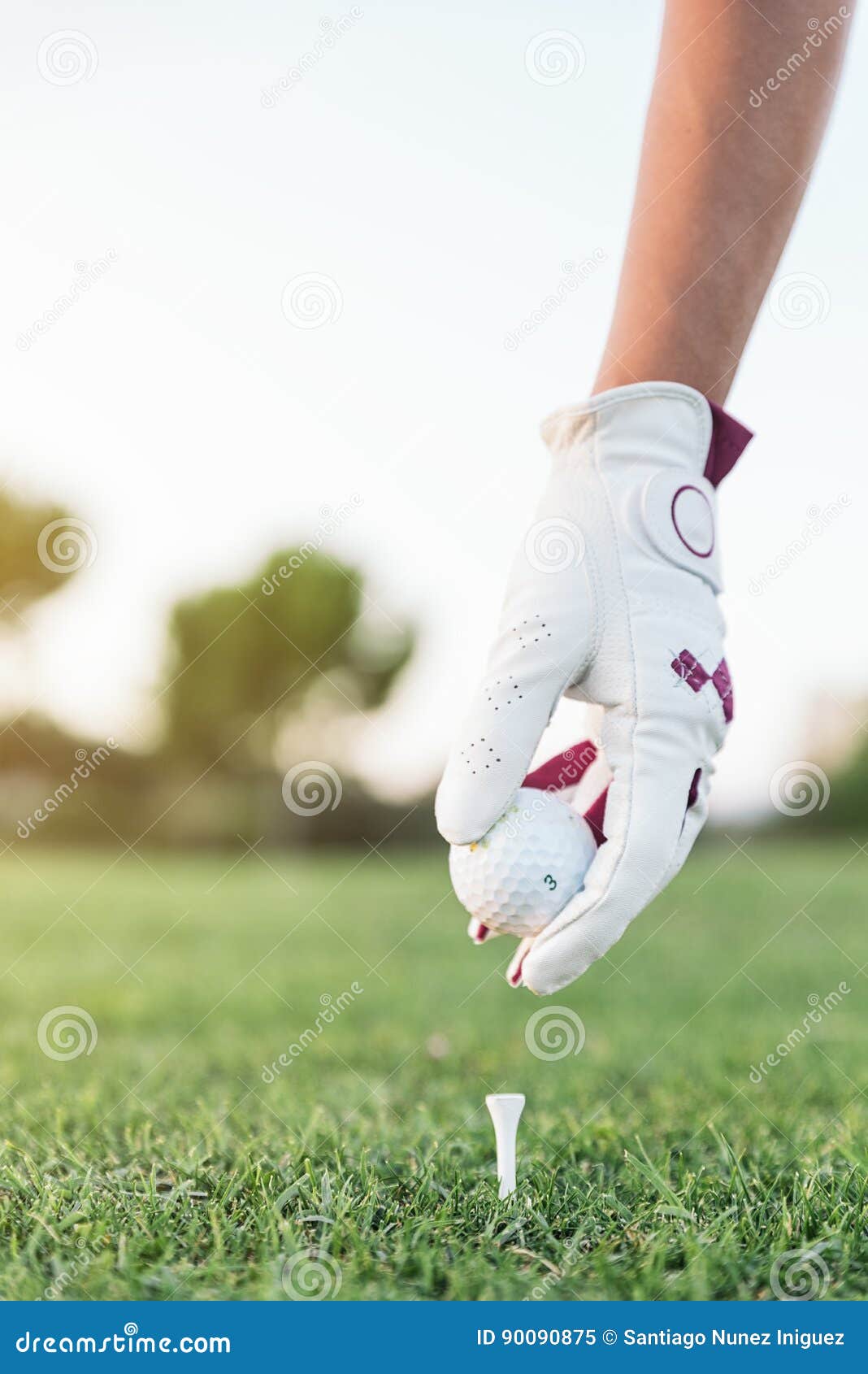 Hand Woman Putting a Golf Ball on the Tee. Stock Image - Image of ...